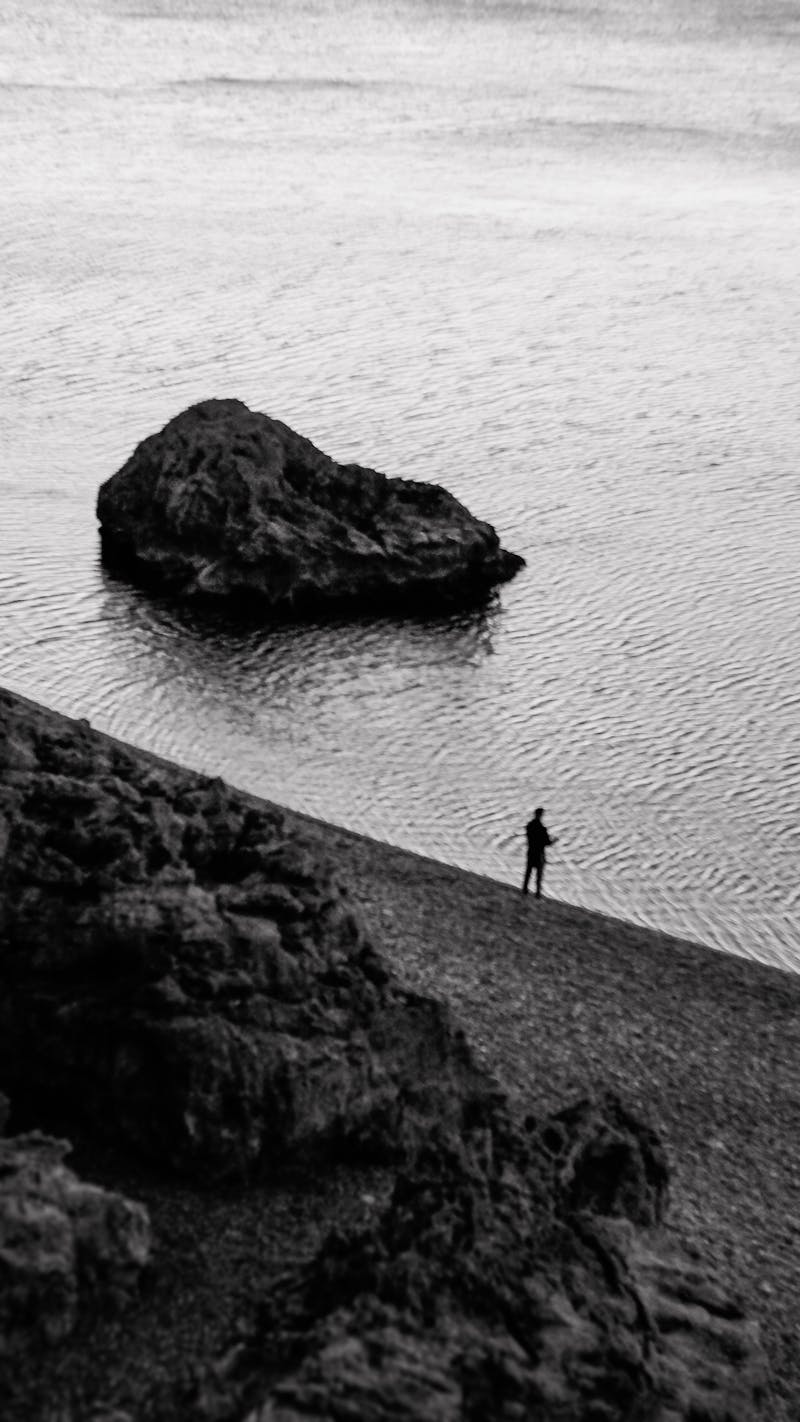 Figure Photos, Download The BEST Free Figure Stock Photos & HD Images