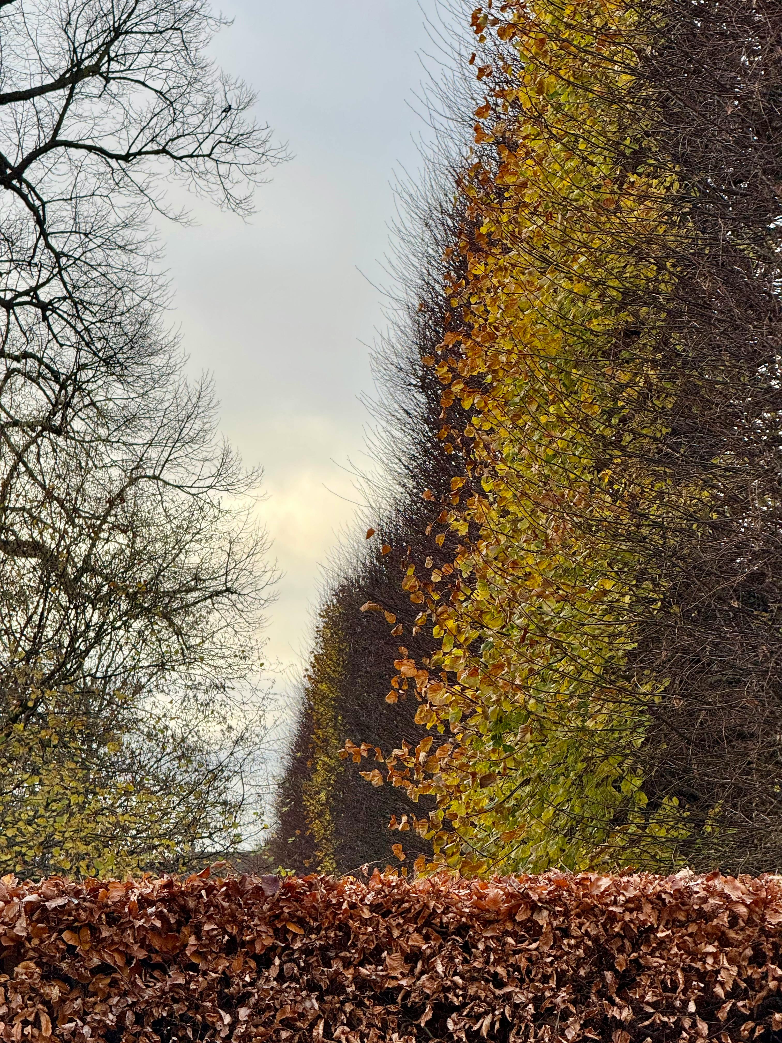 Fall For November Photos, Download The BEST Free Fall For November ...