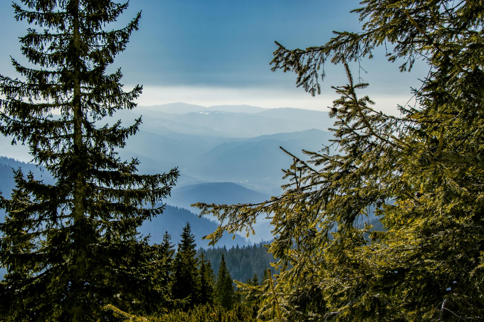 Panoramic View Photos, Download The BEST Free Panoramic View Stock ...