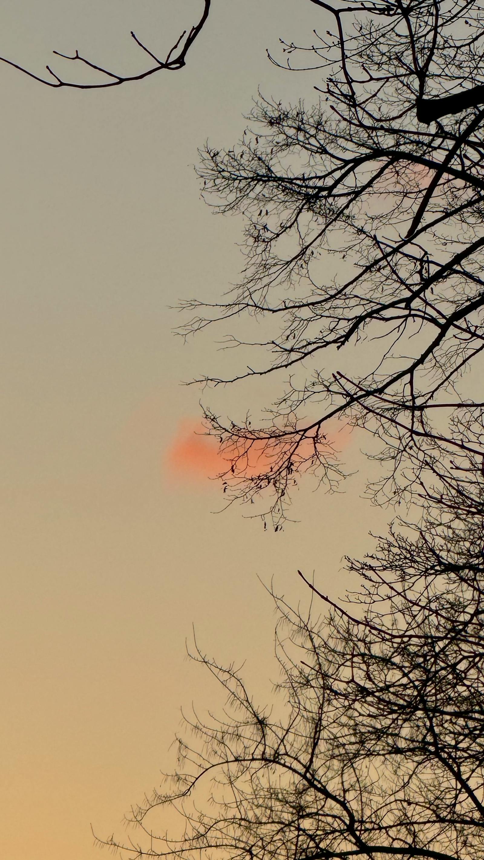 Bare Bosom Photos, Download The BEST Free Bare Bosom Stock Photos & HD ...