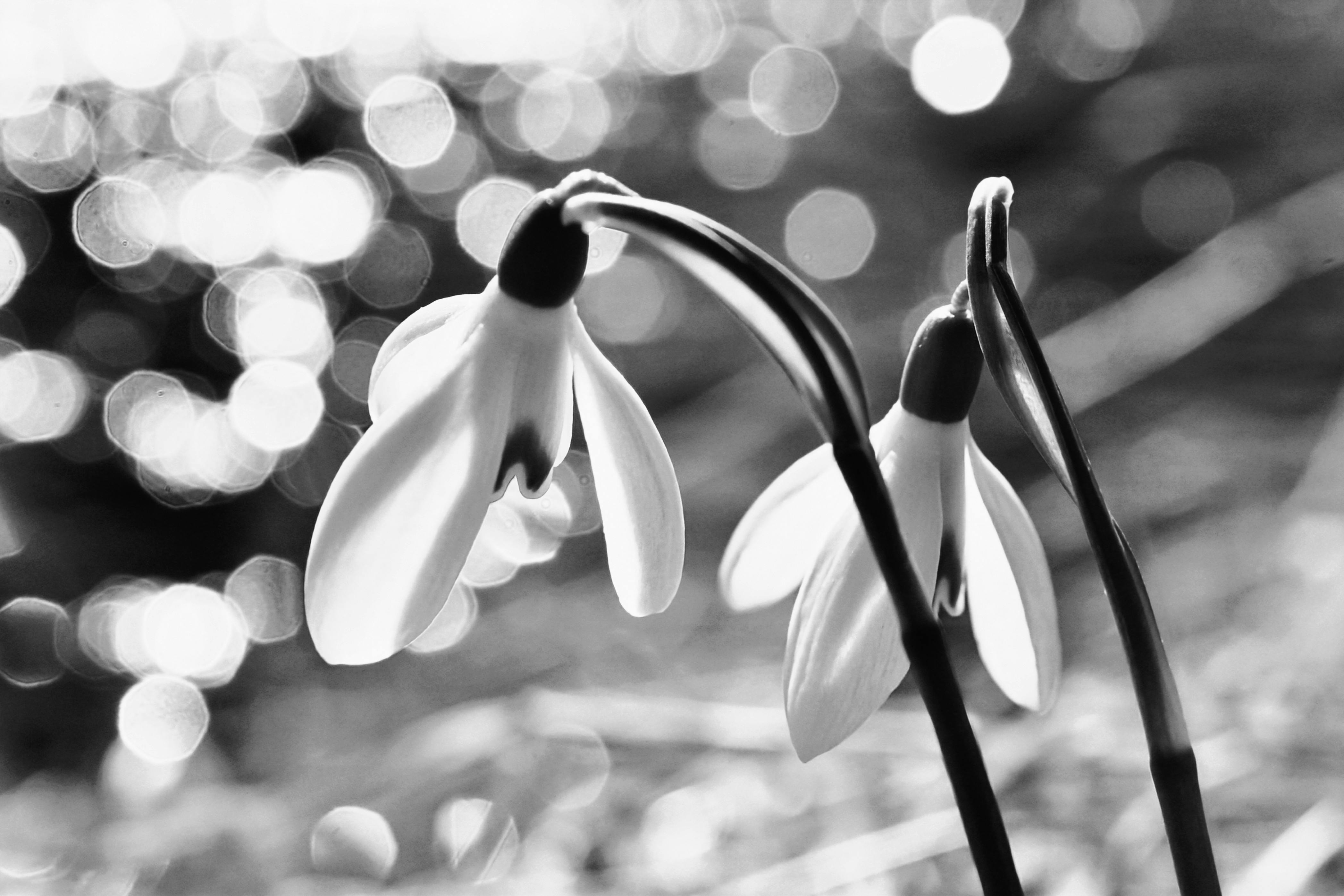 Background Image Tts Photos, Download The BEST Free Background Image ...