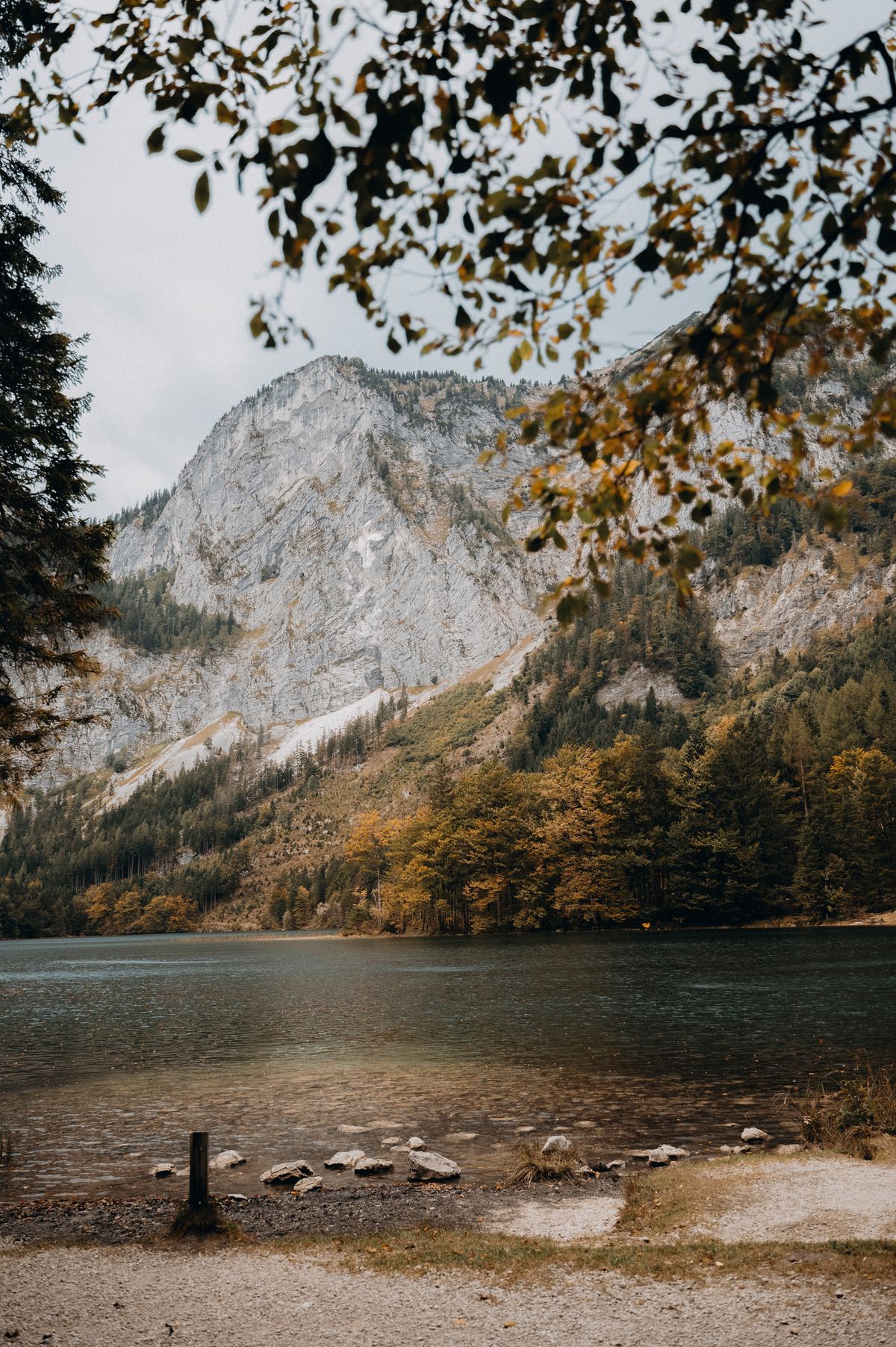 Teams+Background+Autumn+Office Photos, Download The BEST Free Teams ...