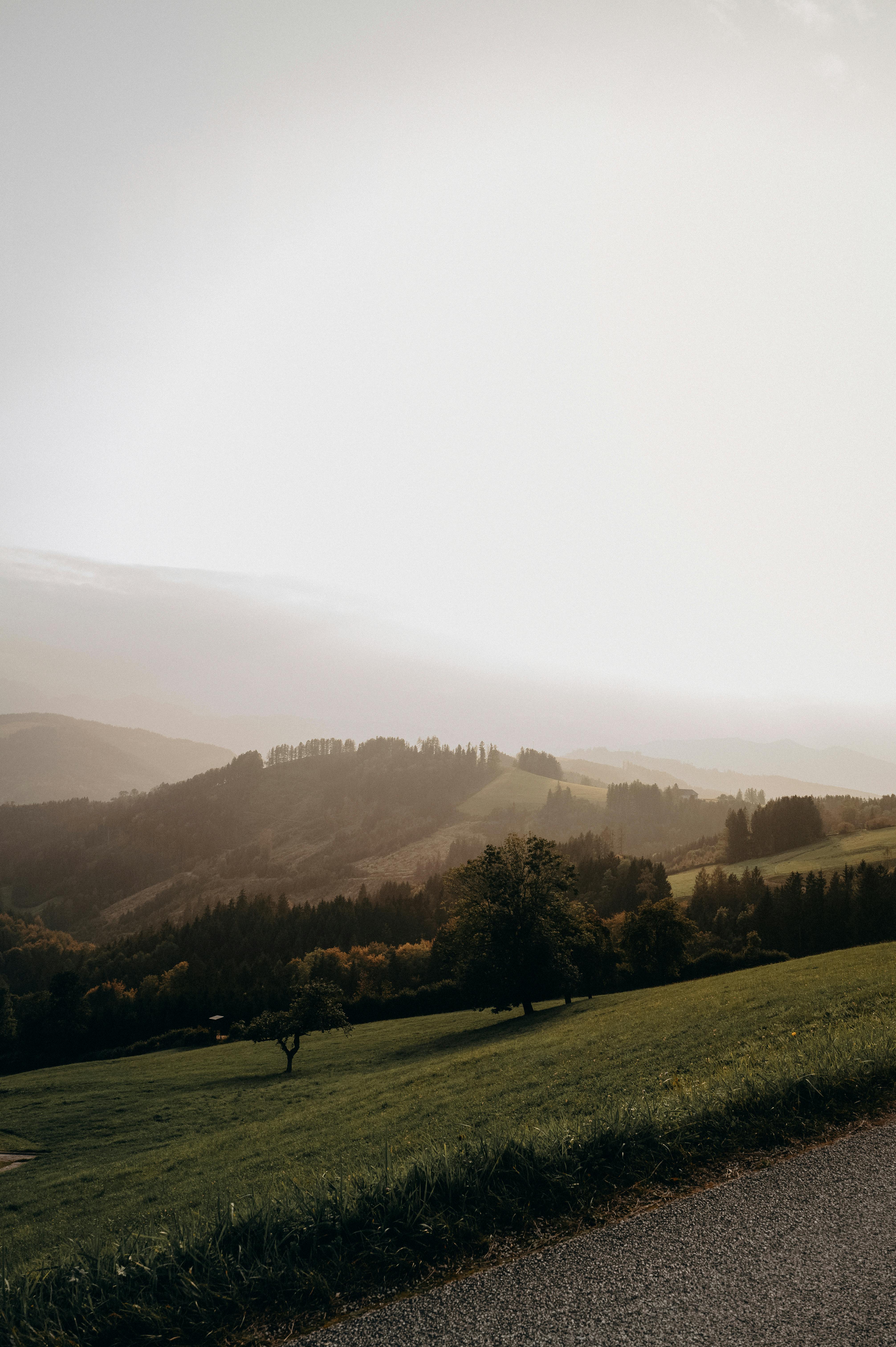 Serene Hillside Landscape with Soft Mist · Free Stock Photo