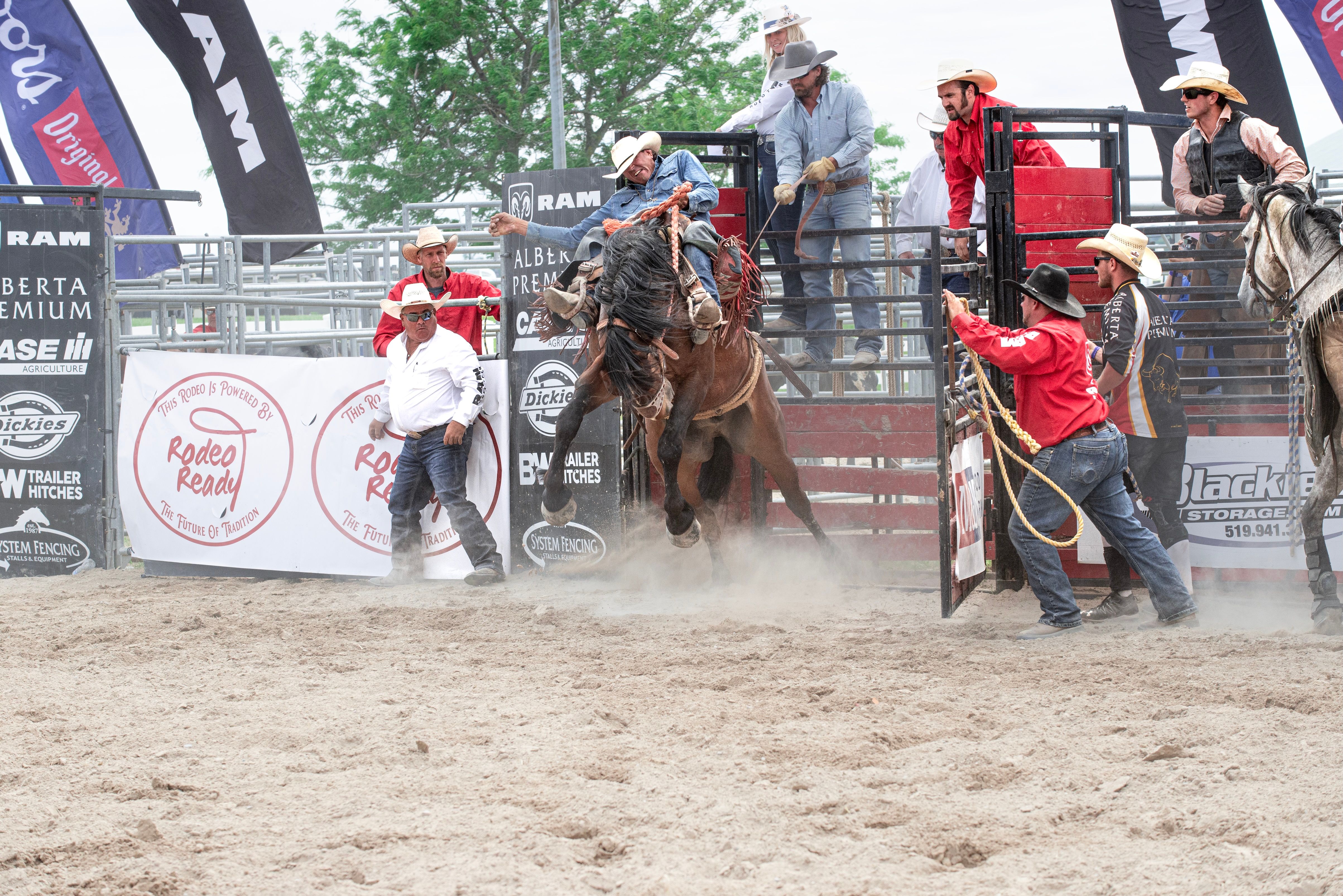 Emocionante Acción De Rodeo Con Un Vaquero Montando Un Toro · Foto de ...