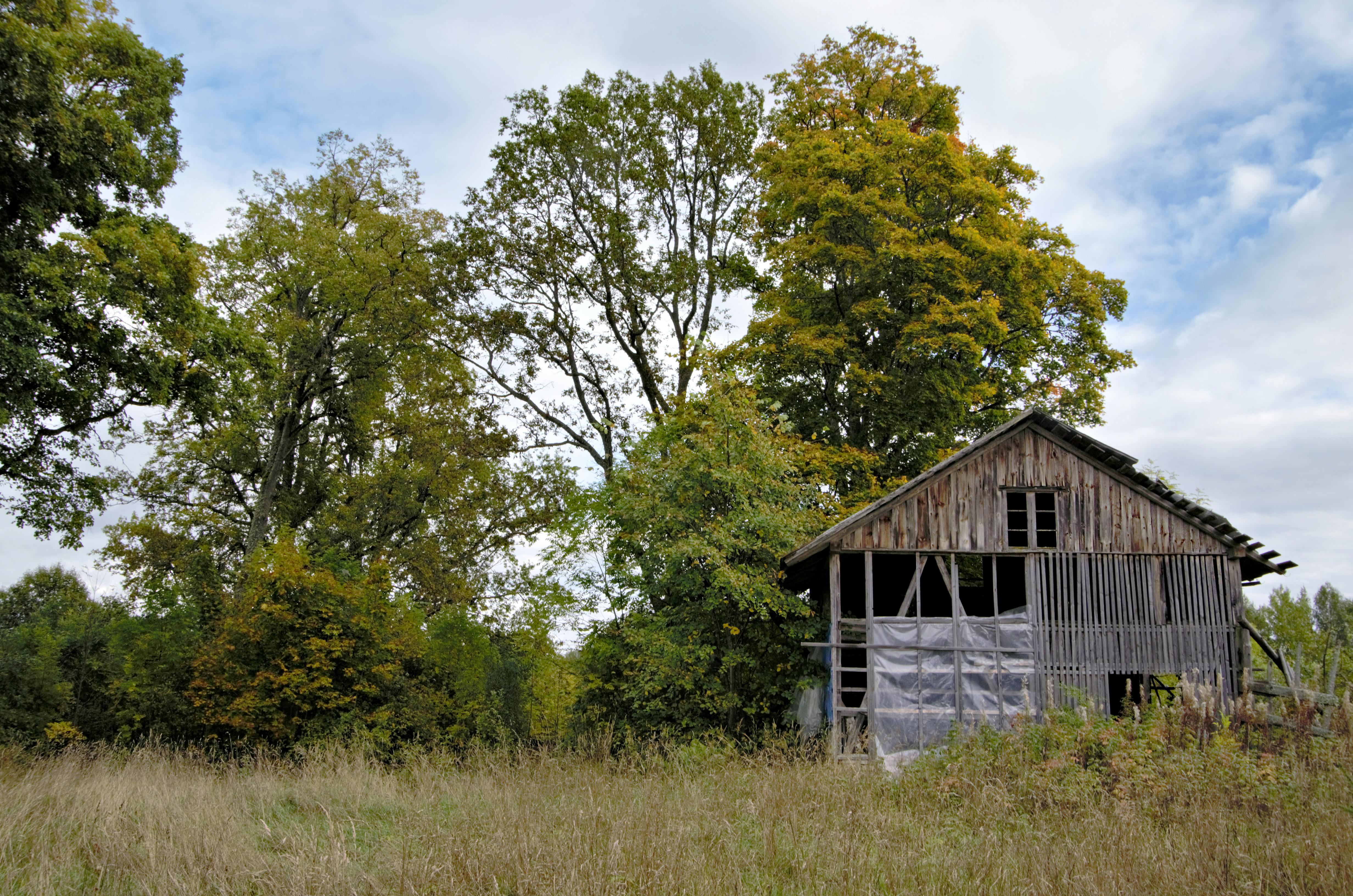 Isolated Country Photos, Download The BEST Free Isolated Country Stock ...