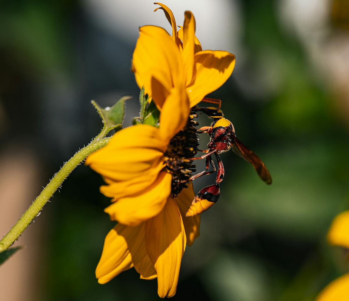 Free Gfx Background Photos, Download The BEST Free Free Gfx Background ...