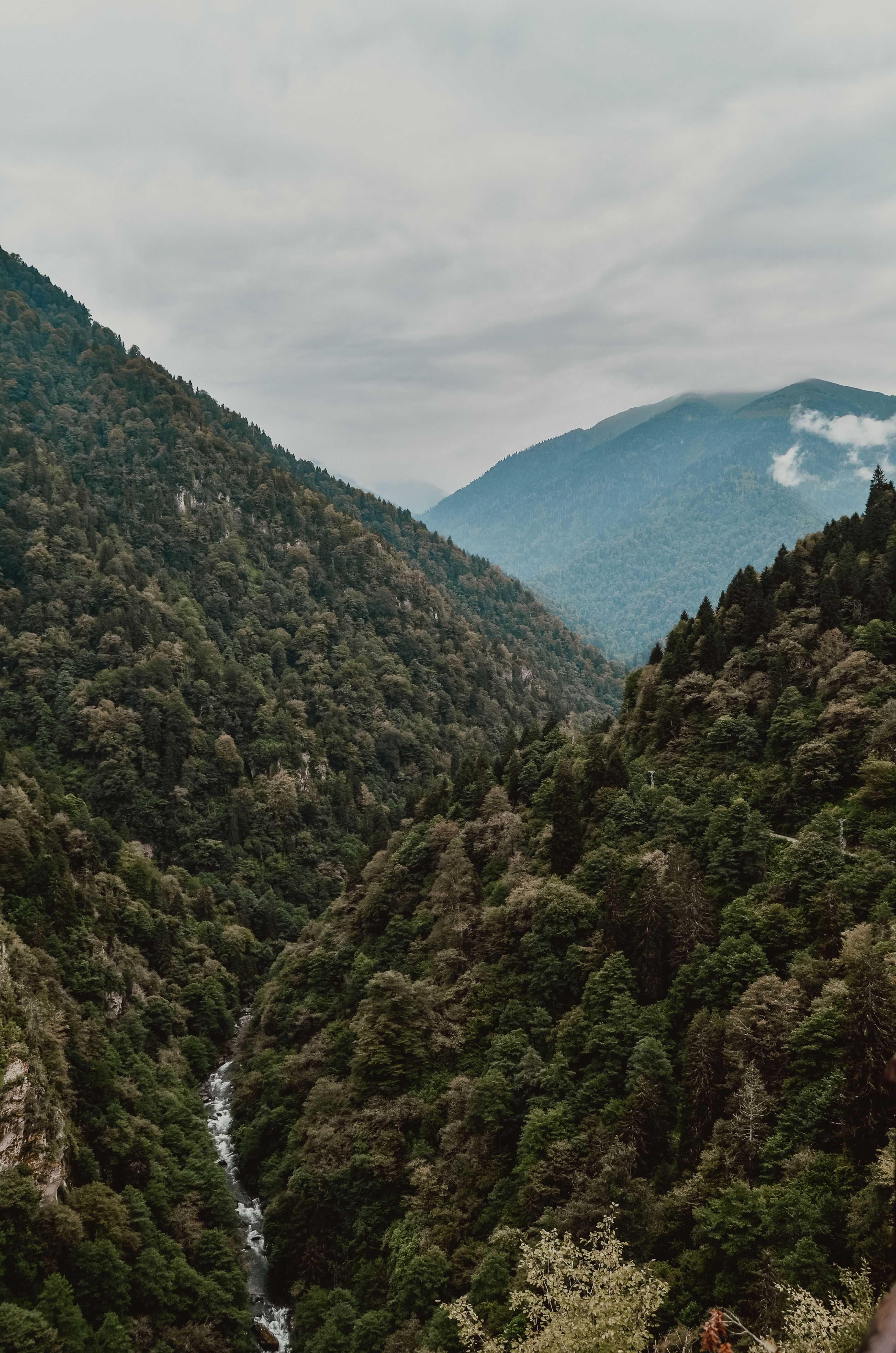 Scenic Mountain Valley with Flowing Stream · Free Stock Photo