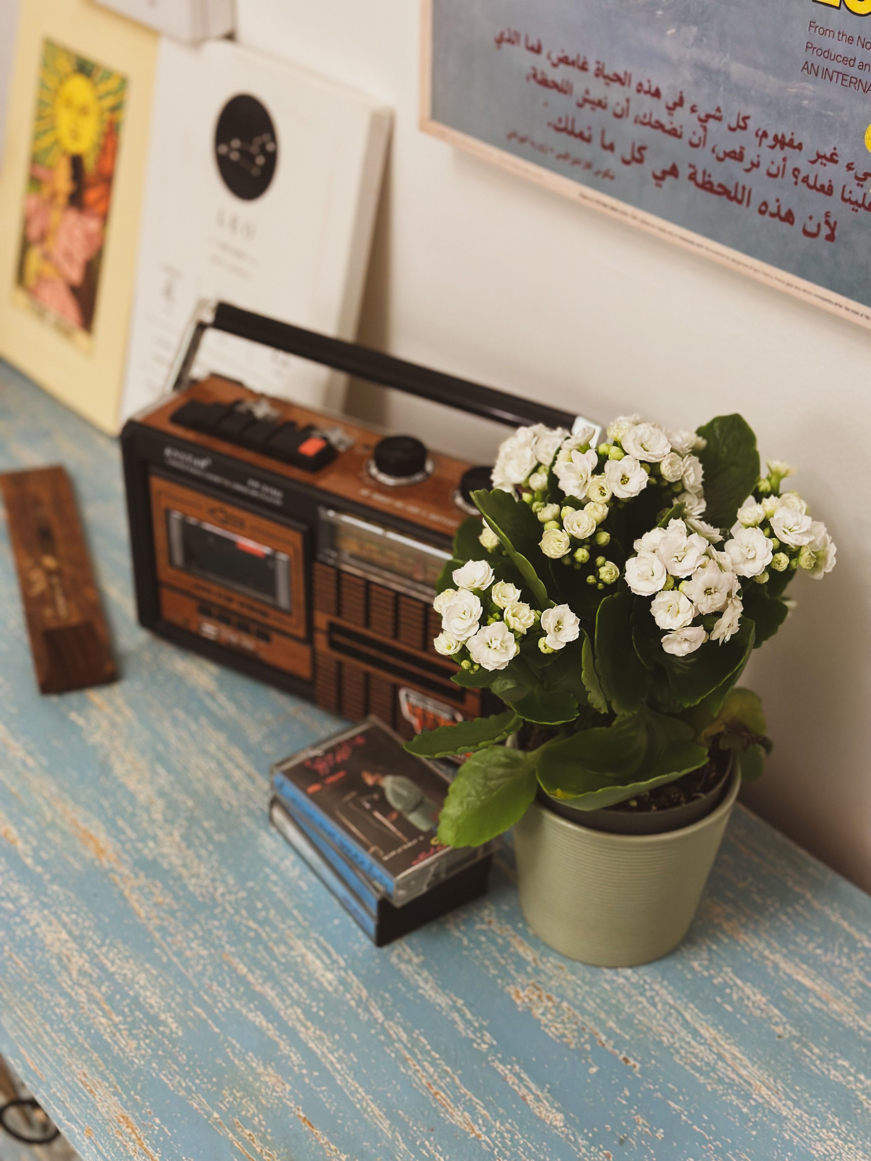 Vintage Radio with Potted Flowers on Rustic Table · Free Stock Photo