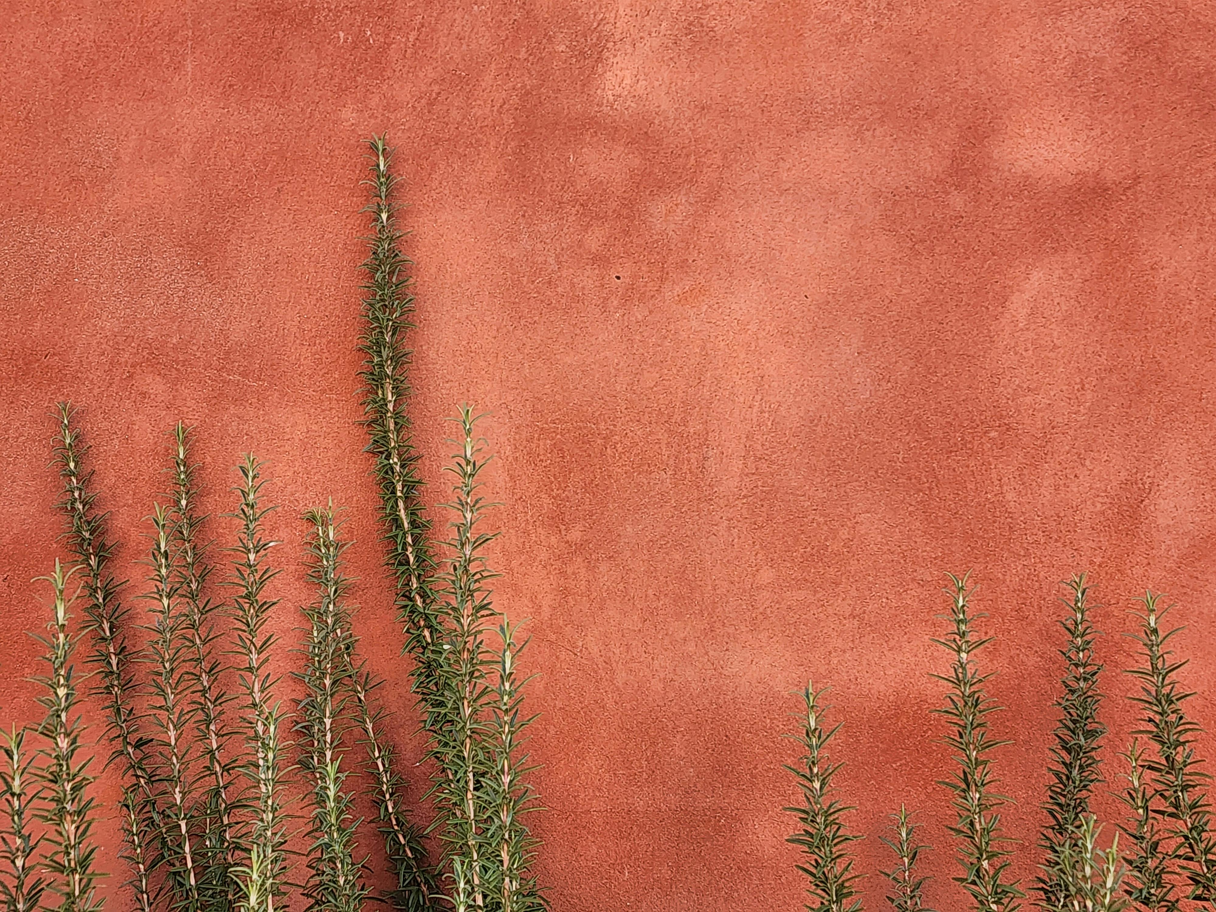 Simple Red Background Photos, Download The BEST Free Simple Red ...