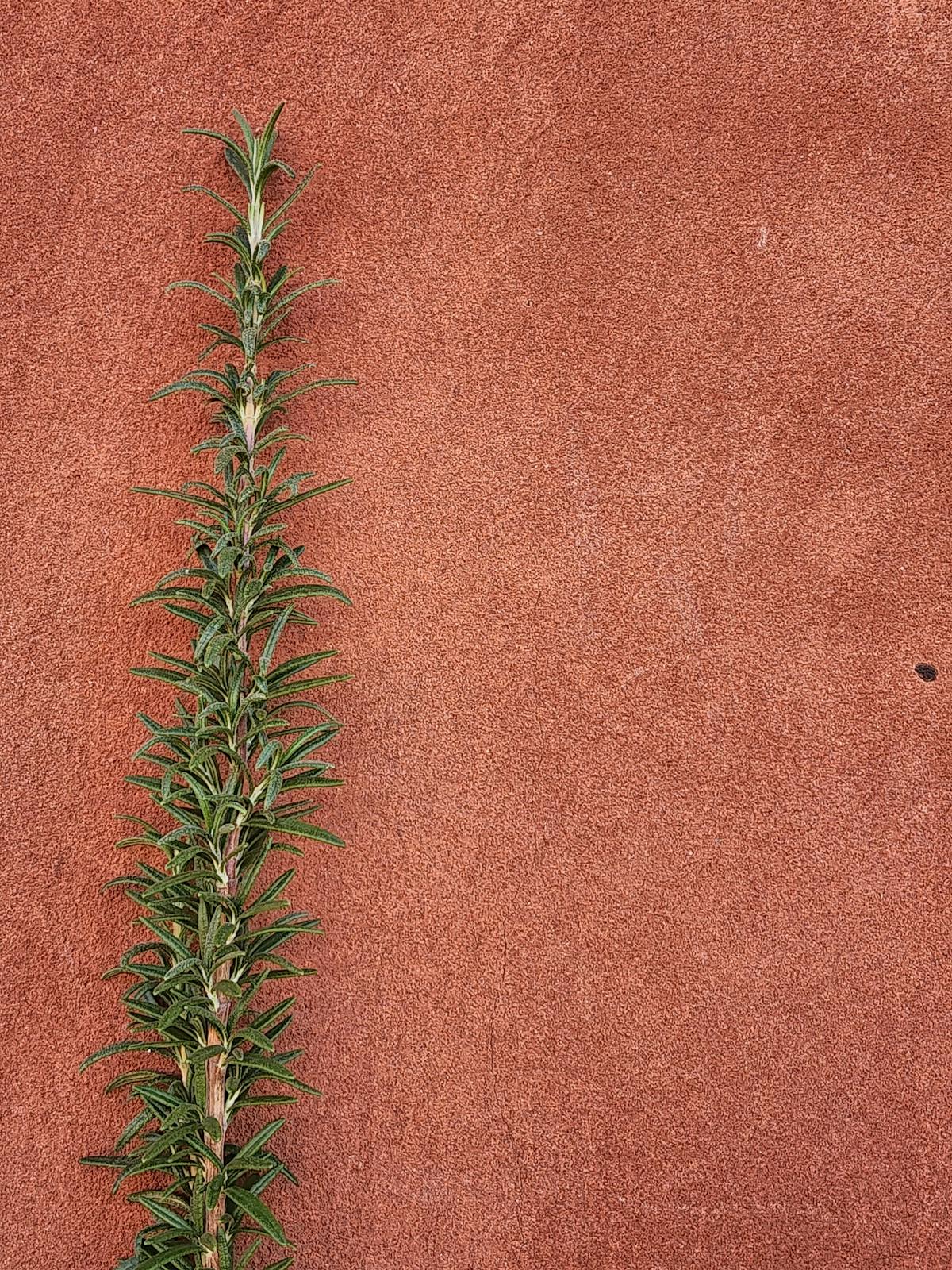 Tuition Background Photos, Download The BEST Free Tuition Background ...