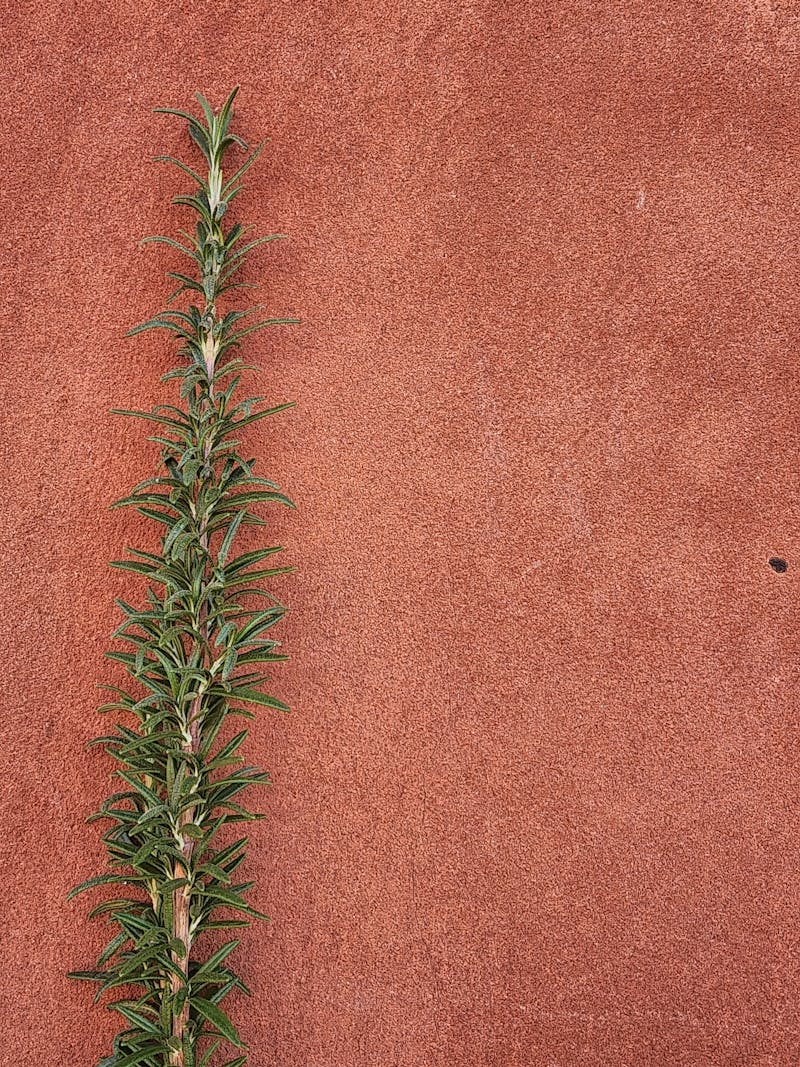 Tuition Background Photos, Download The BEST Free Tuition Background ...