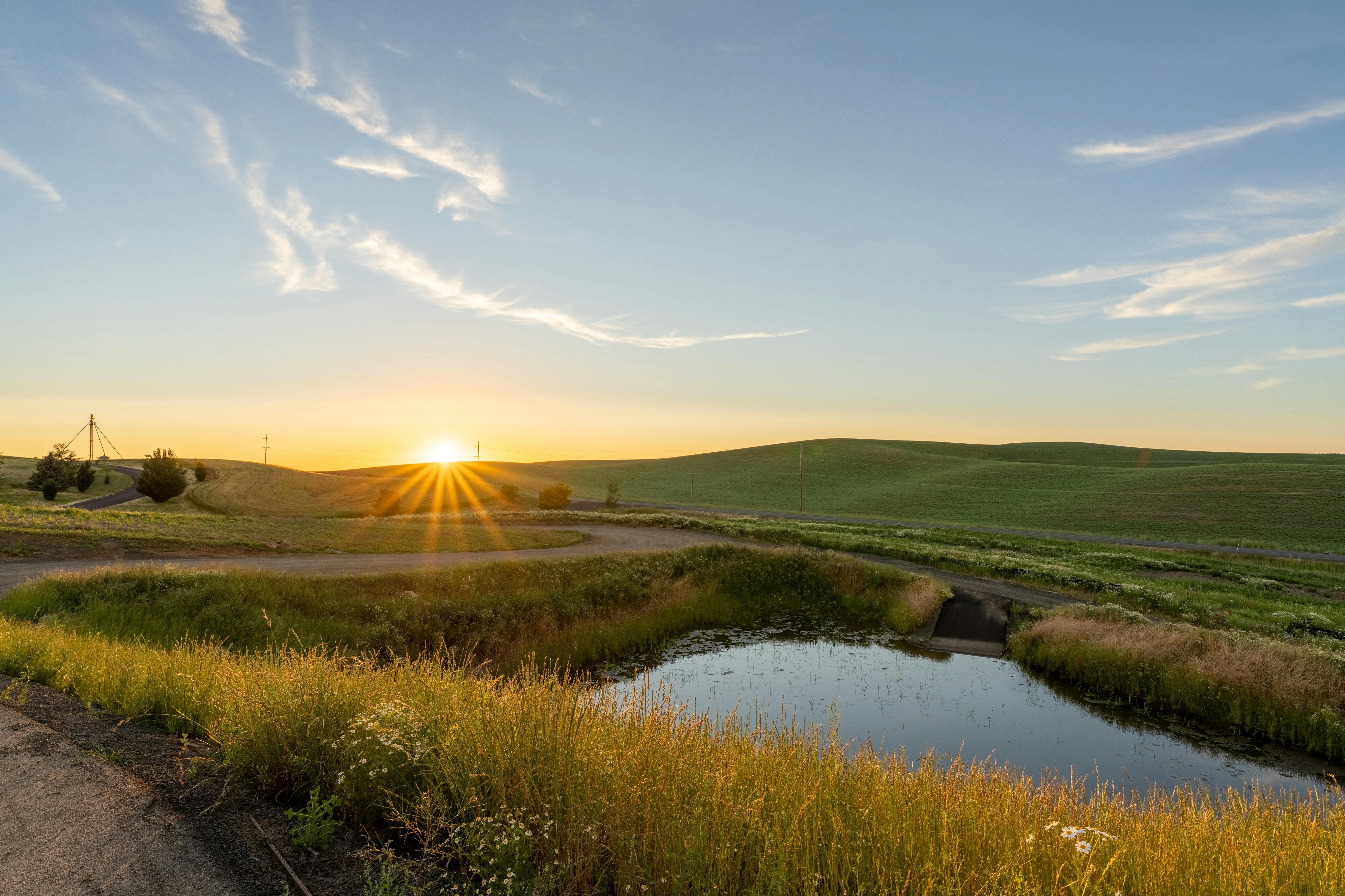 Sunset Over Rolling Fields in Pullman, WA · Free Stock Photo