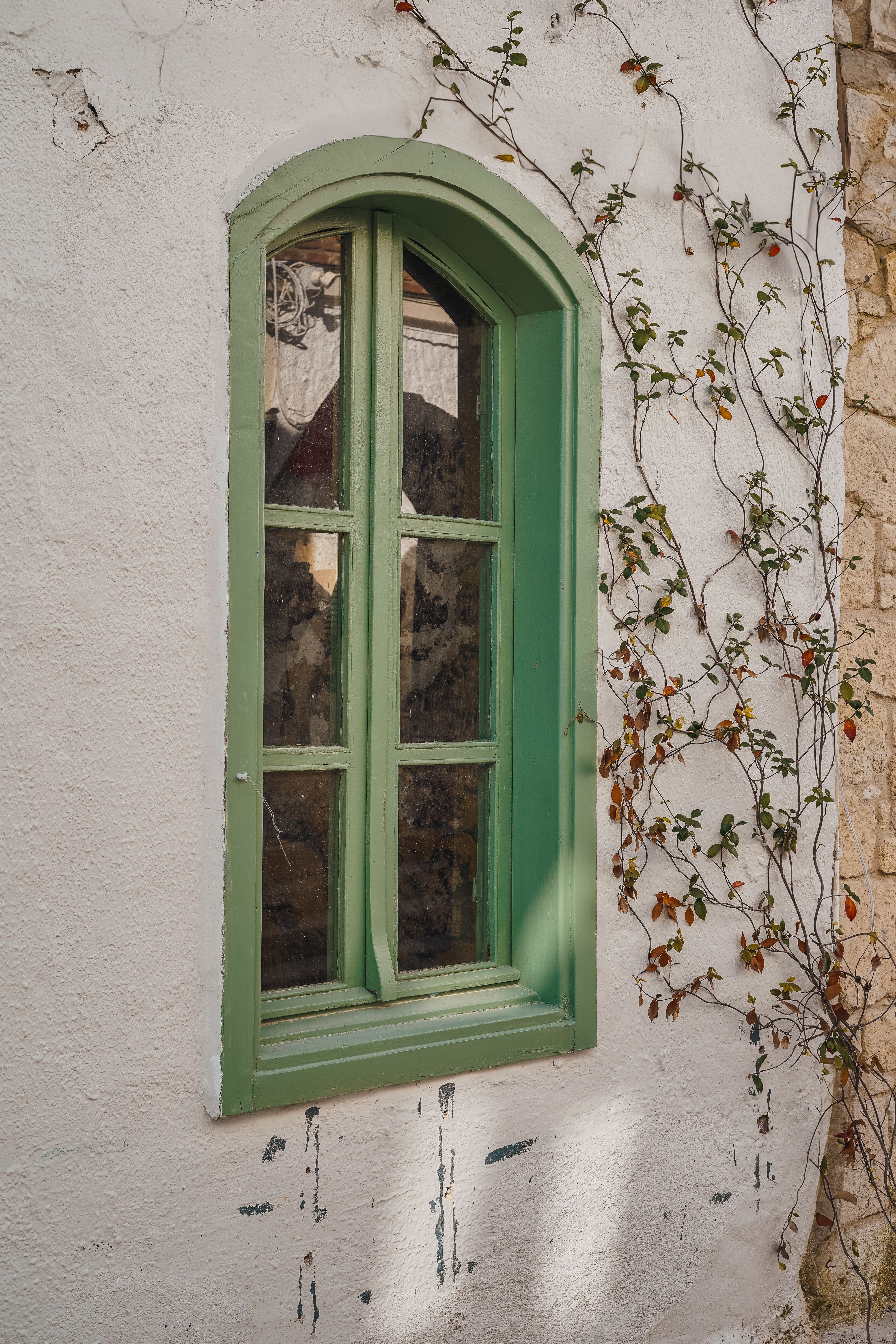 Green Wooden Window with Climbing Vines · Free Stock Photo
