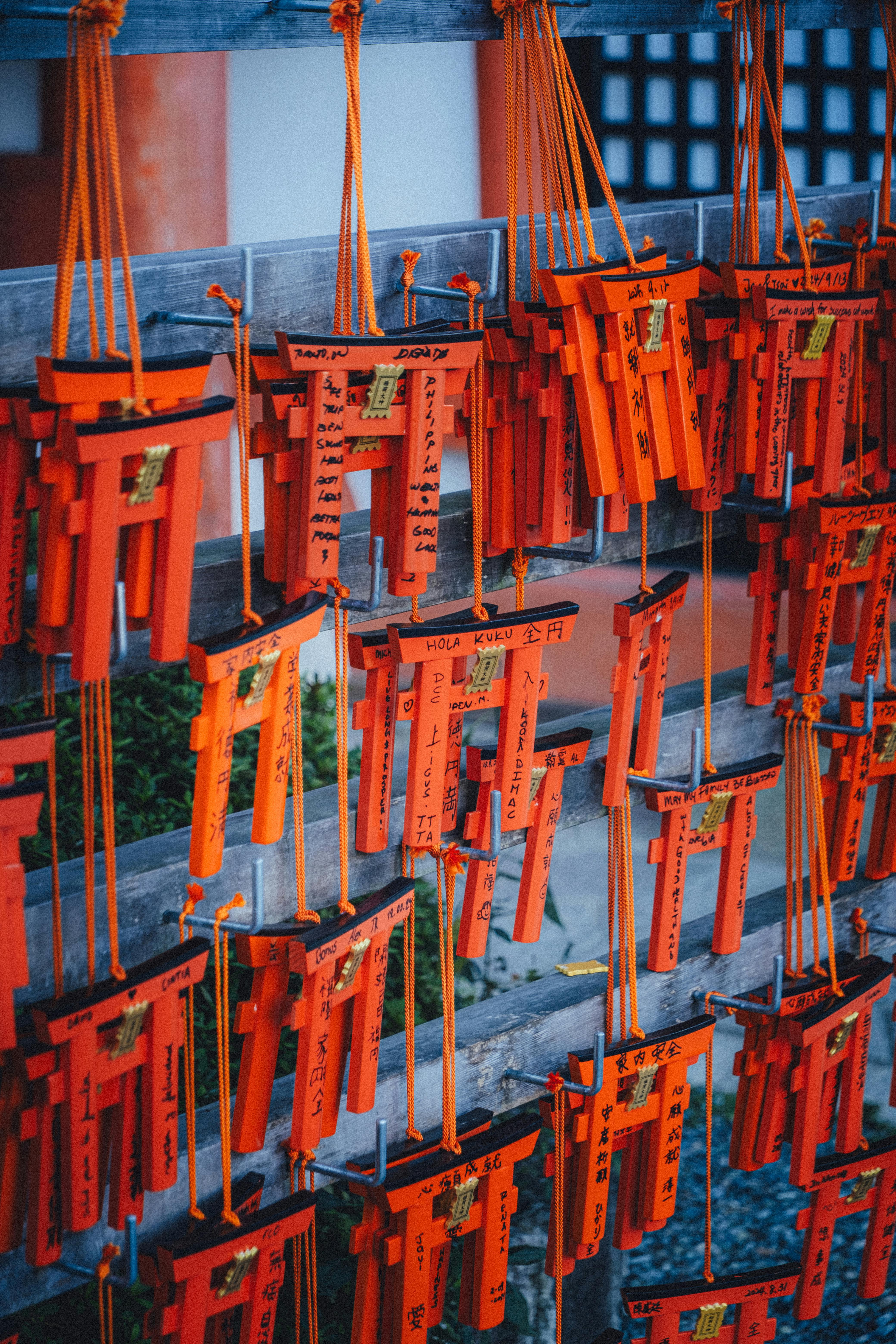 Japanese Closeup Photos, Download The BEST Free Japanese Closeup Stock ...