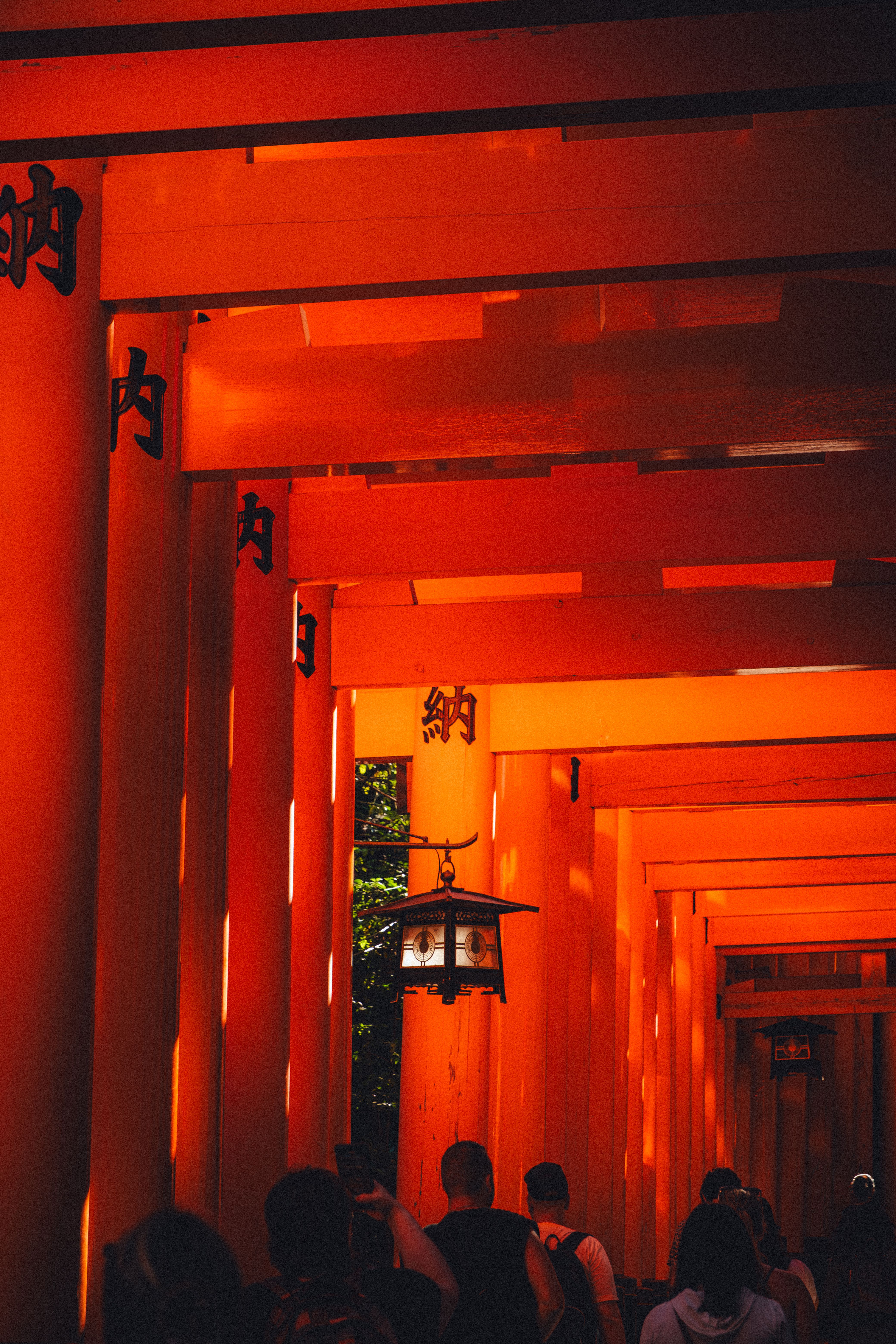 Vibrant Pathway through Fushimi Inari Taisha Torii · Free Stock Photo