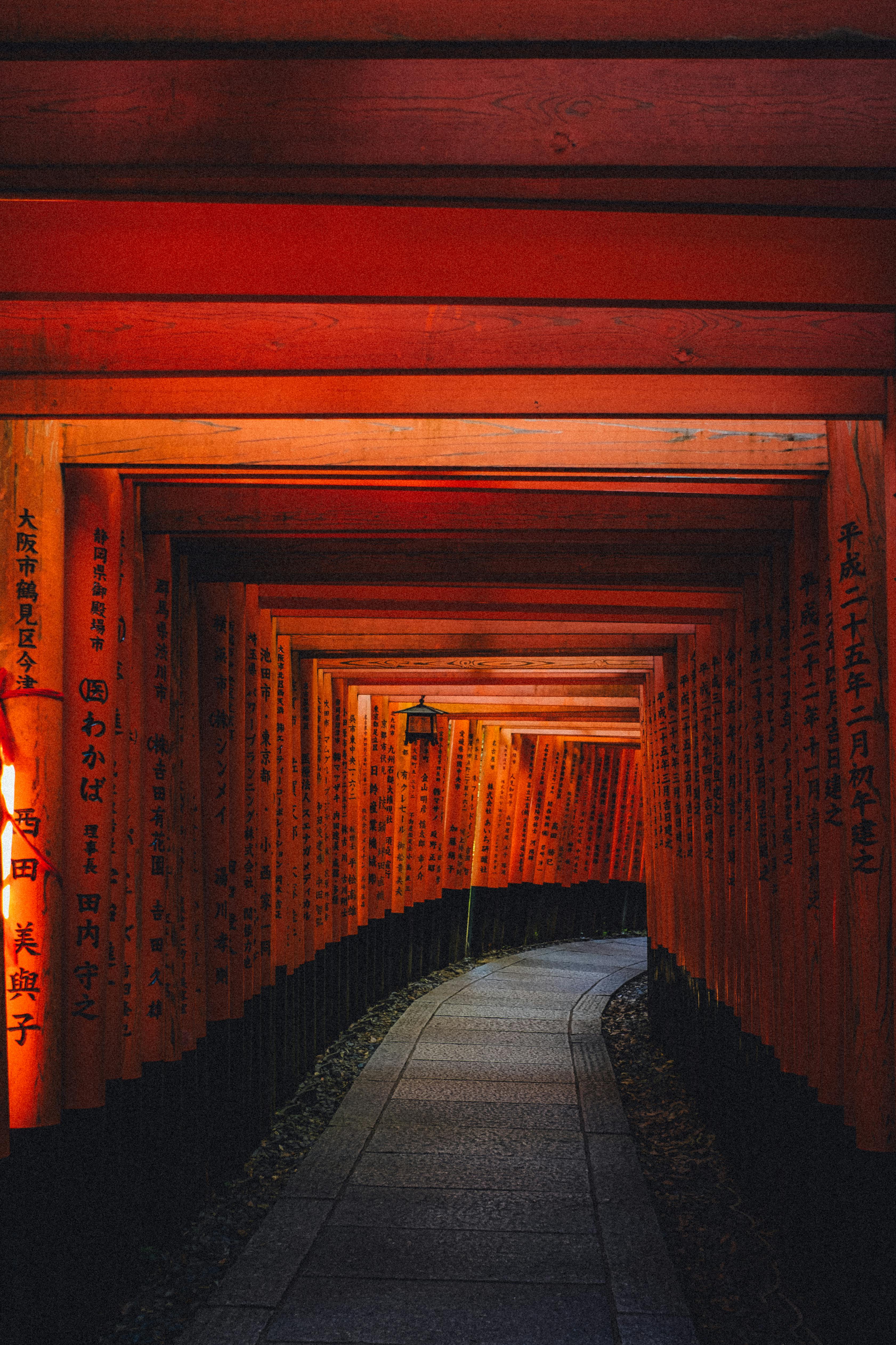 Iconic Fushimi Inari Red Torii Gates Pathway · Free Stock Photo