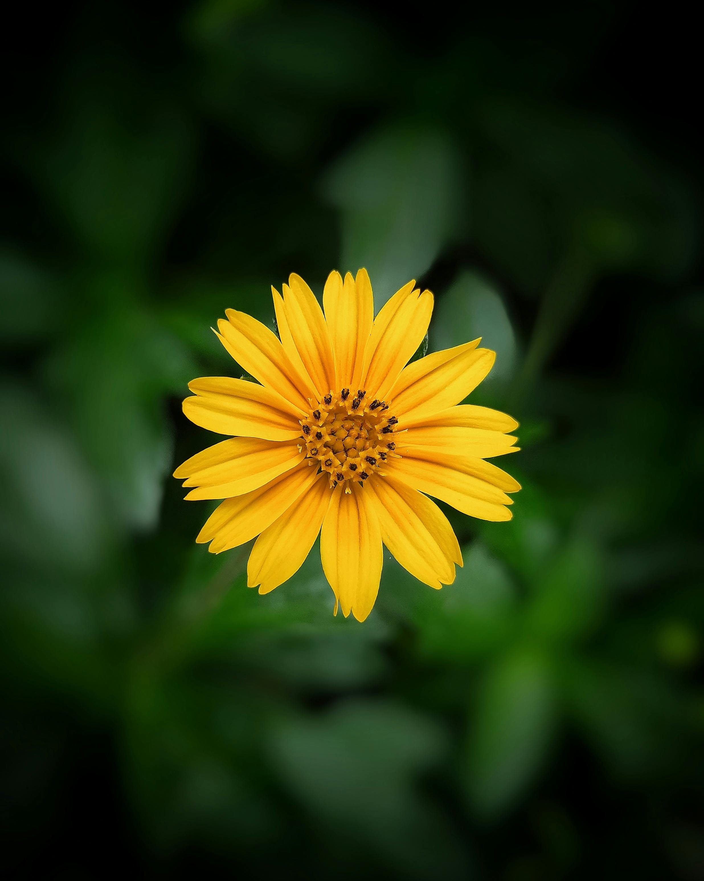 Bright Color Photos, Download The BEST Free Bright Color Stock Photos ...