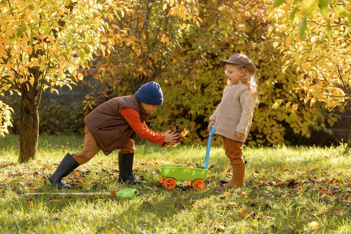 Kids Playing In The Garden Photos, Download The BEST Free Kids Playing ...