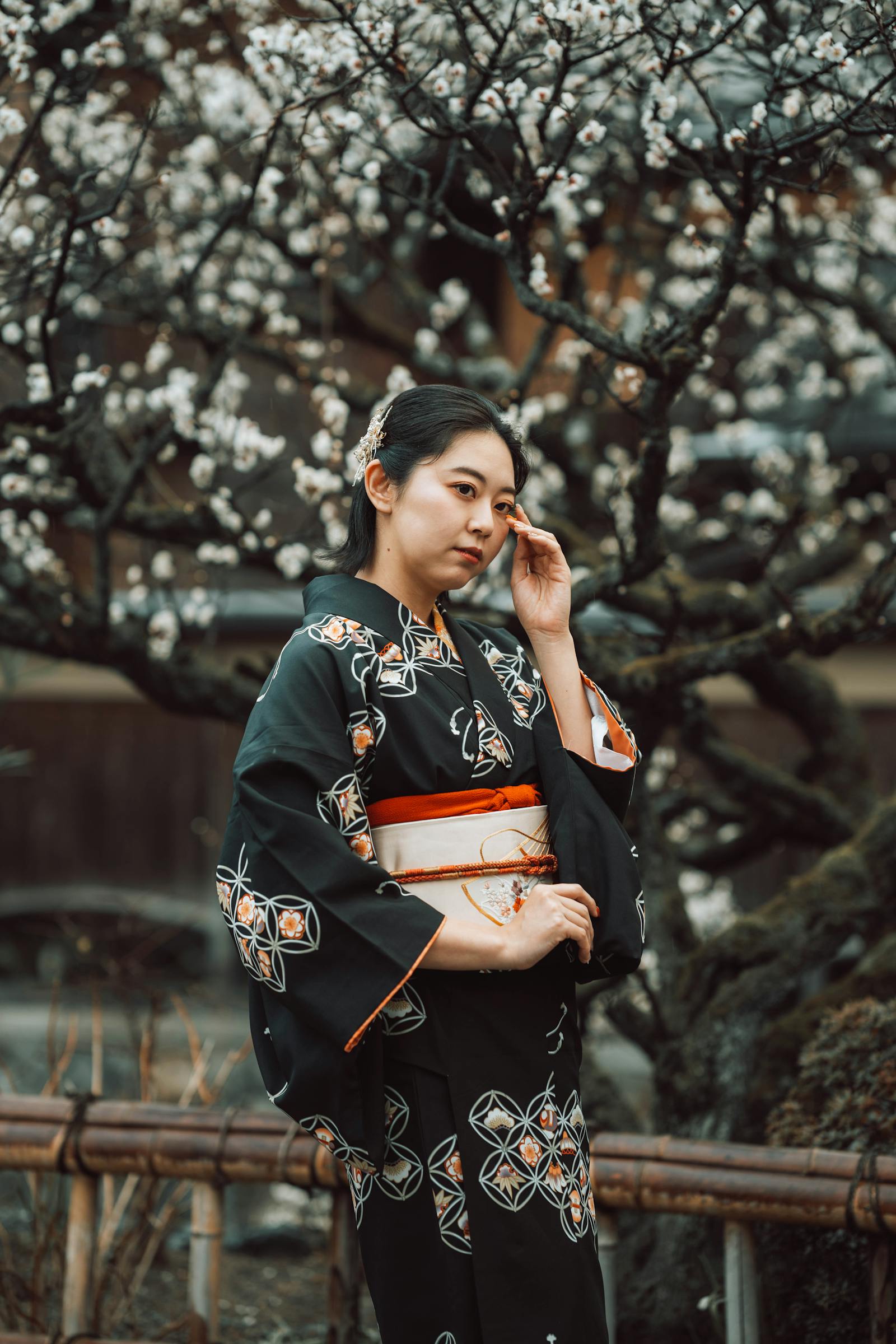 Spring In Japan Photos, Download The BEST Free Spring In Japan Stock ...