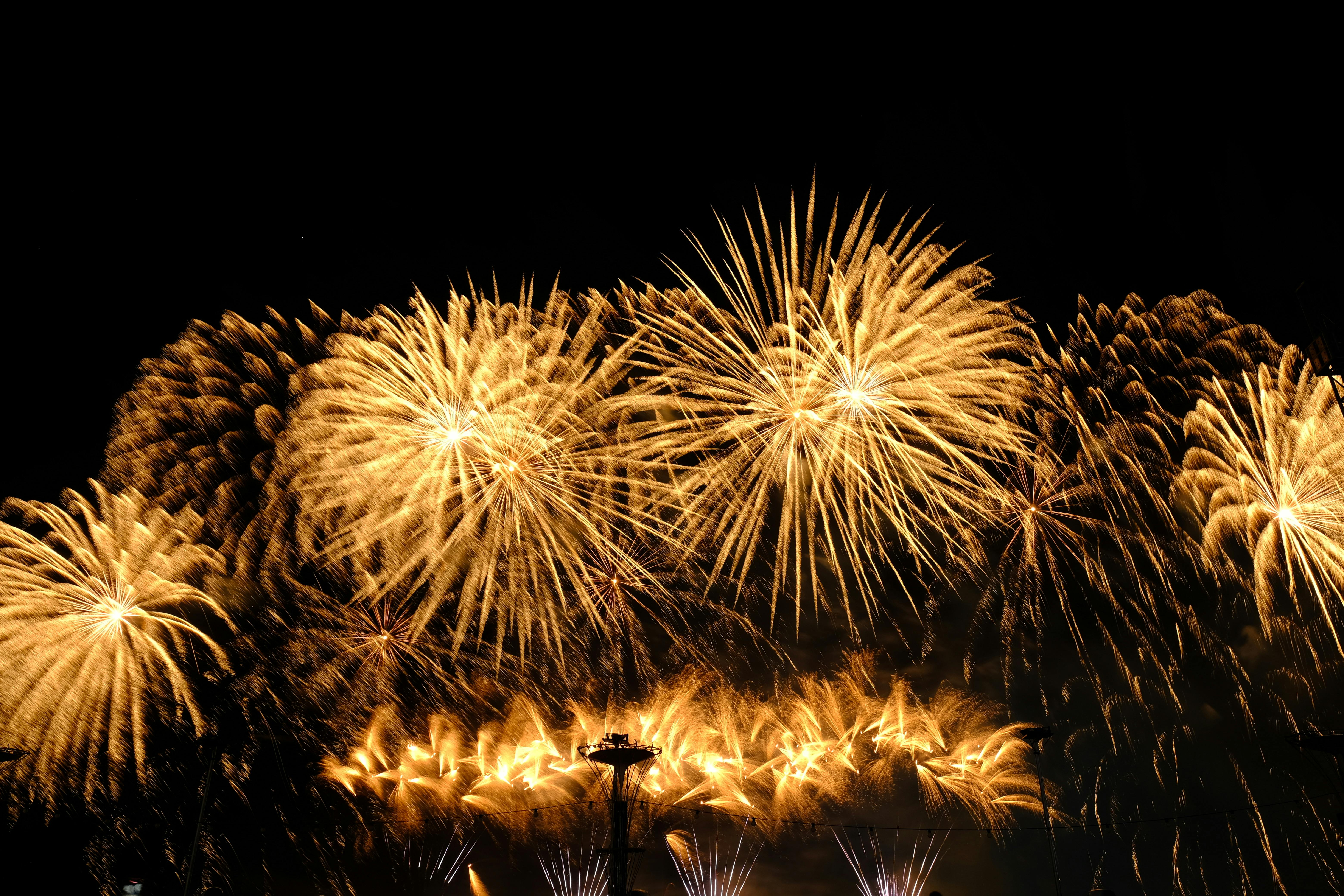 Spectacular Fireworks Over Seattle Skyline · Free Stock Photo