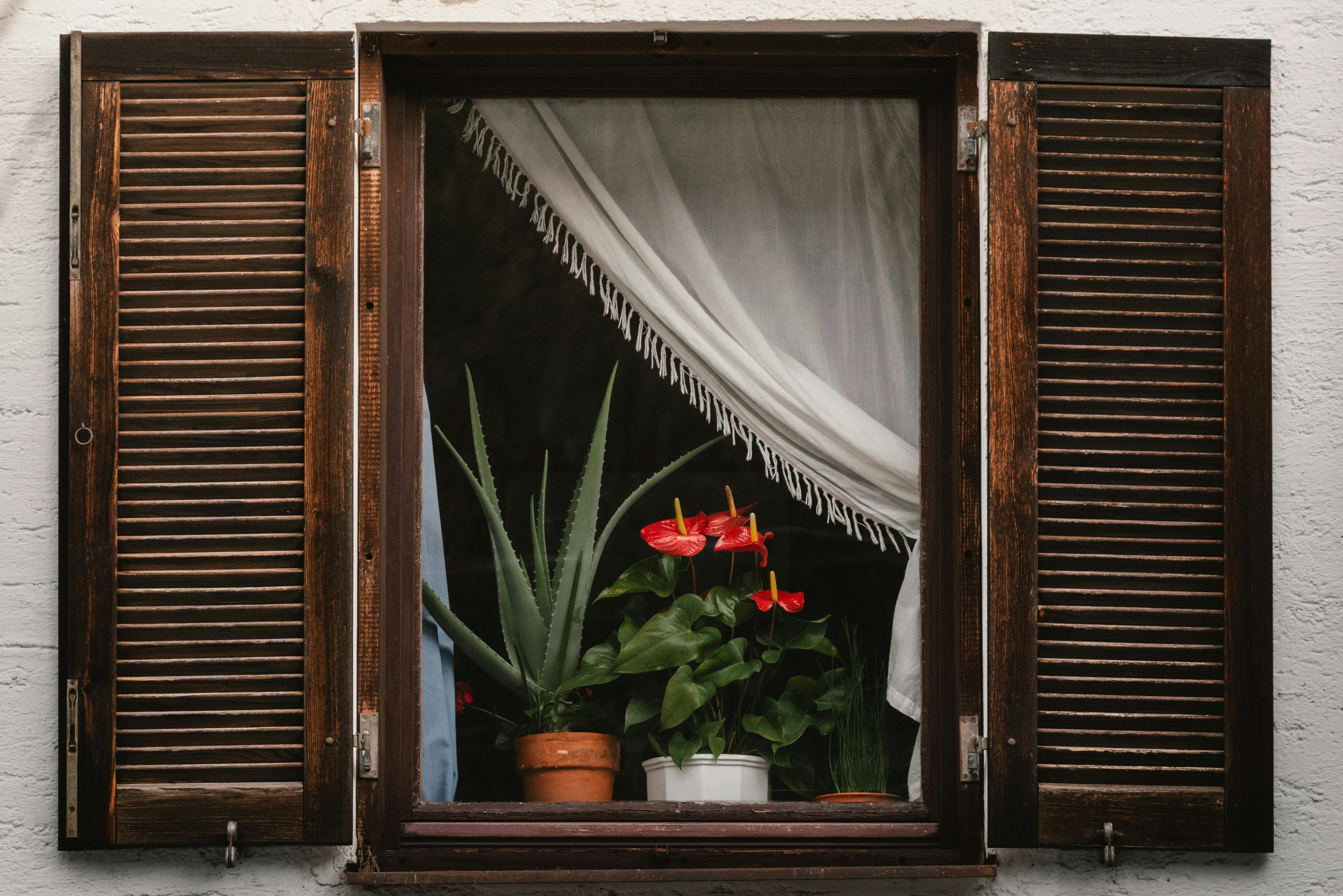 Saraswati Mata 4k Photos, Download The BEST Free Saraswati Mata 4k ...