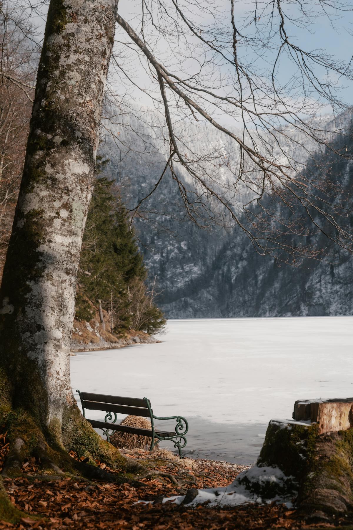 4k Wallpaper 16 Inch Laptop Photos, Download The BEST Free 4k Wallpaper ...