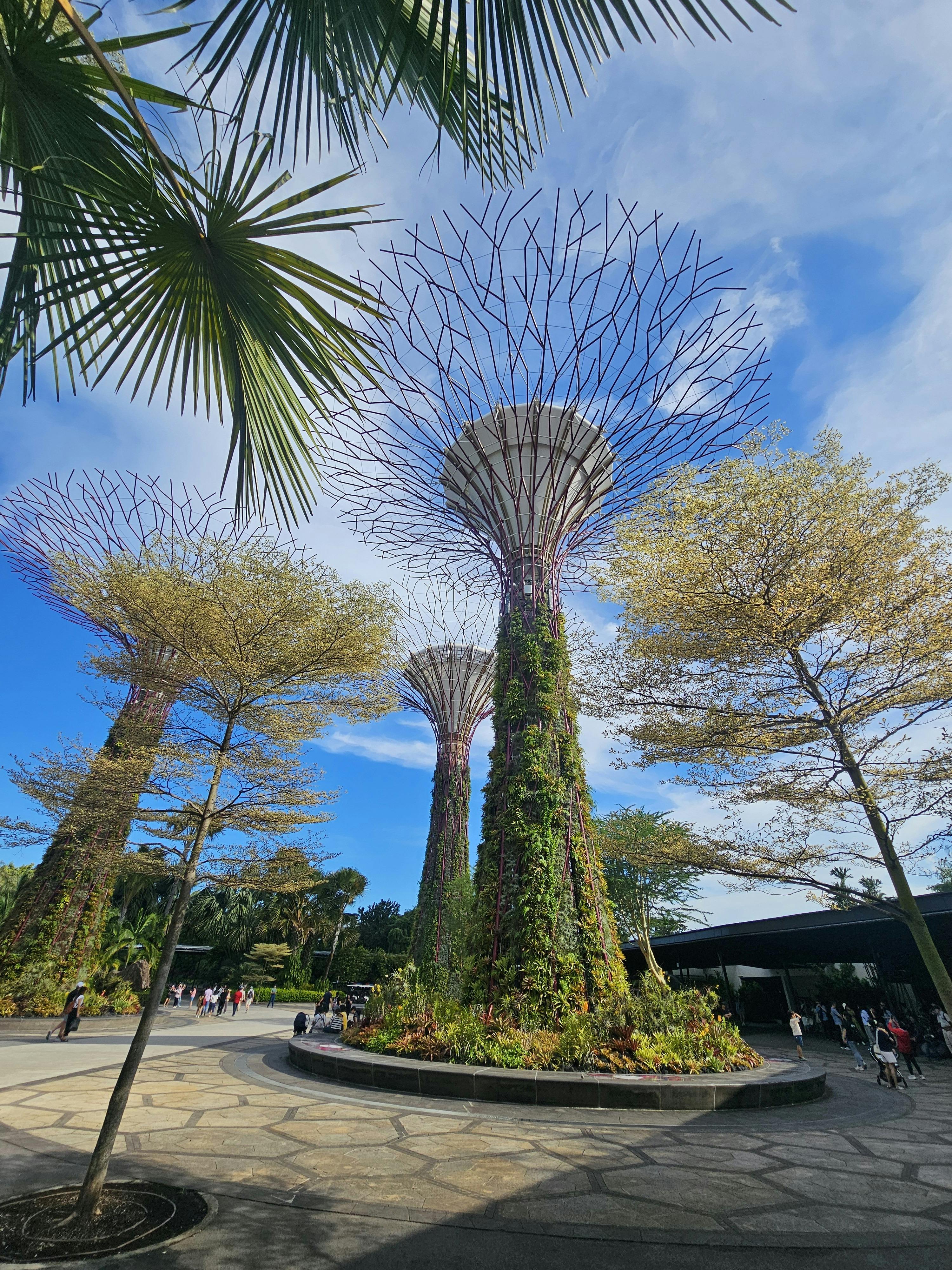 The Supertree Grove All Lit Up Singapore Hd Images Photos, Download The ...