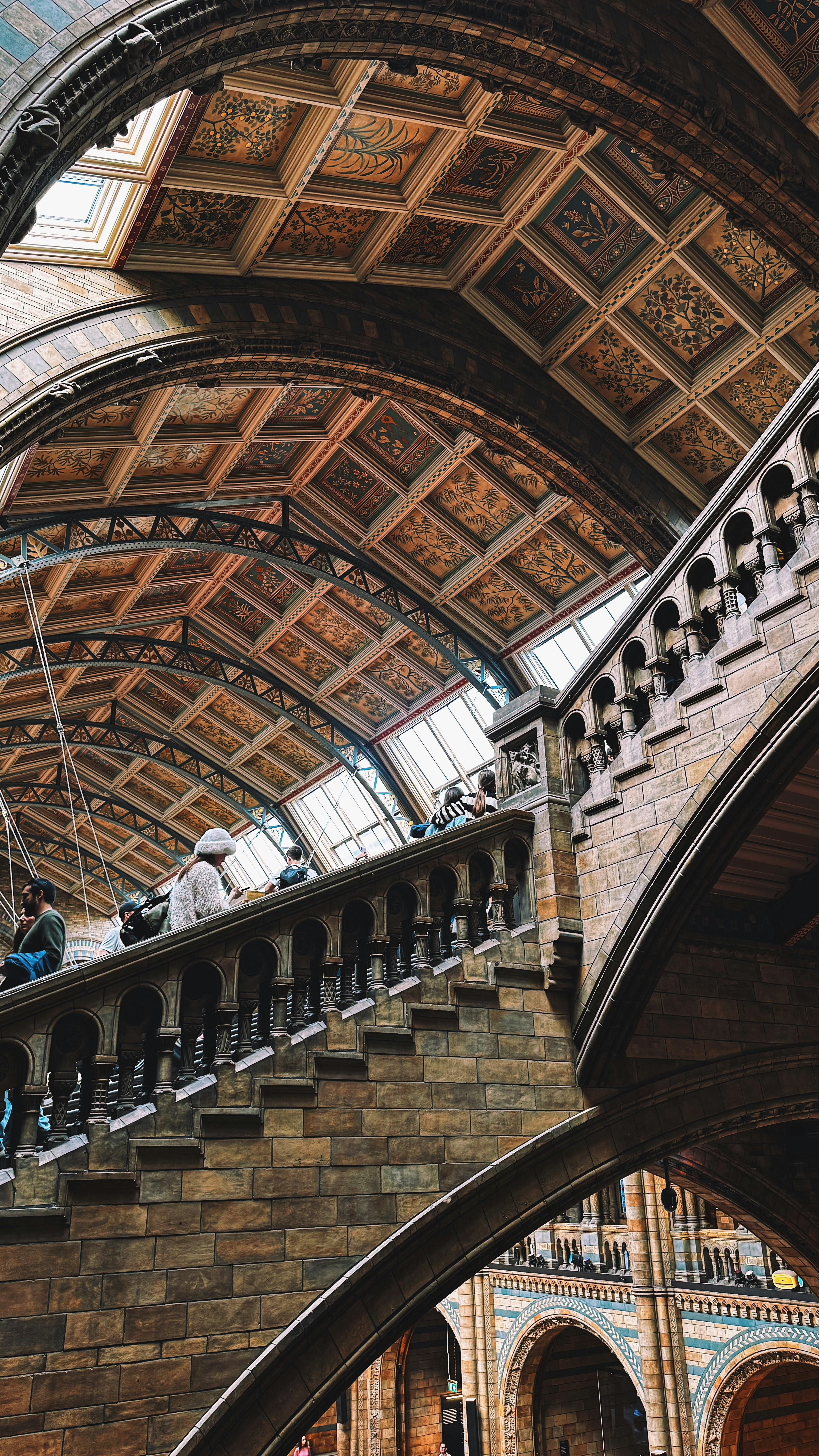 Natural History Museum Interior Architectural Design · Free Stock Photo