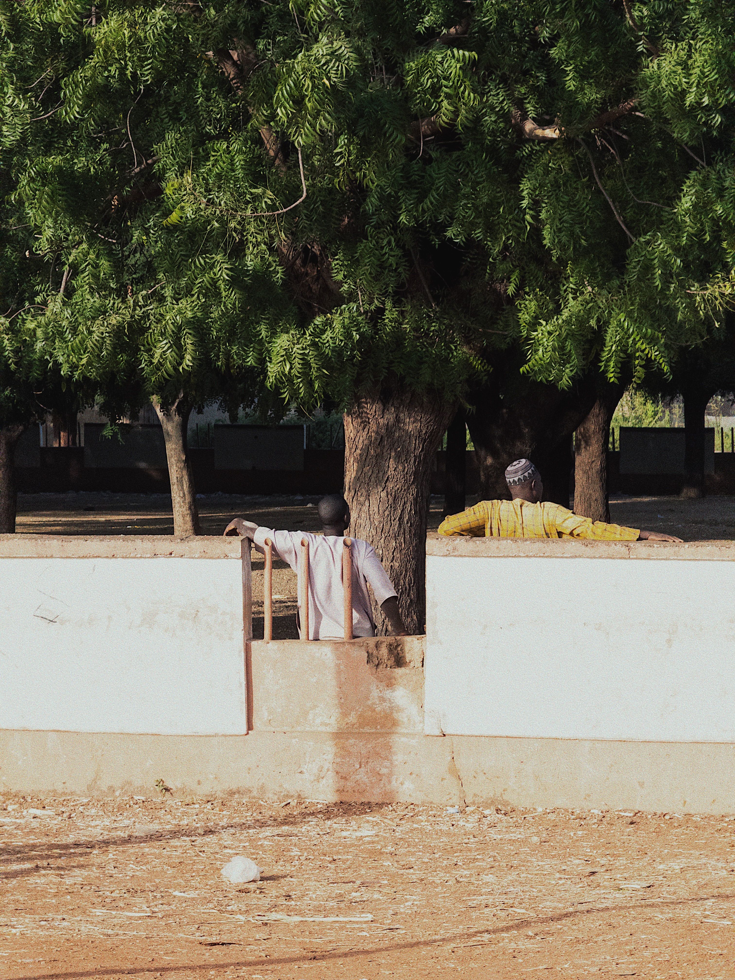 Relaxing under Shade in Nigerian Park · Free Stock Photo