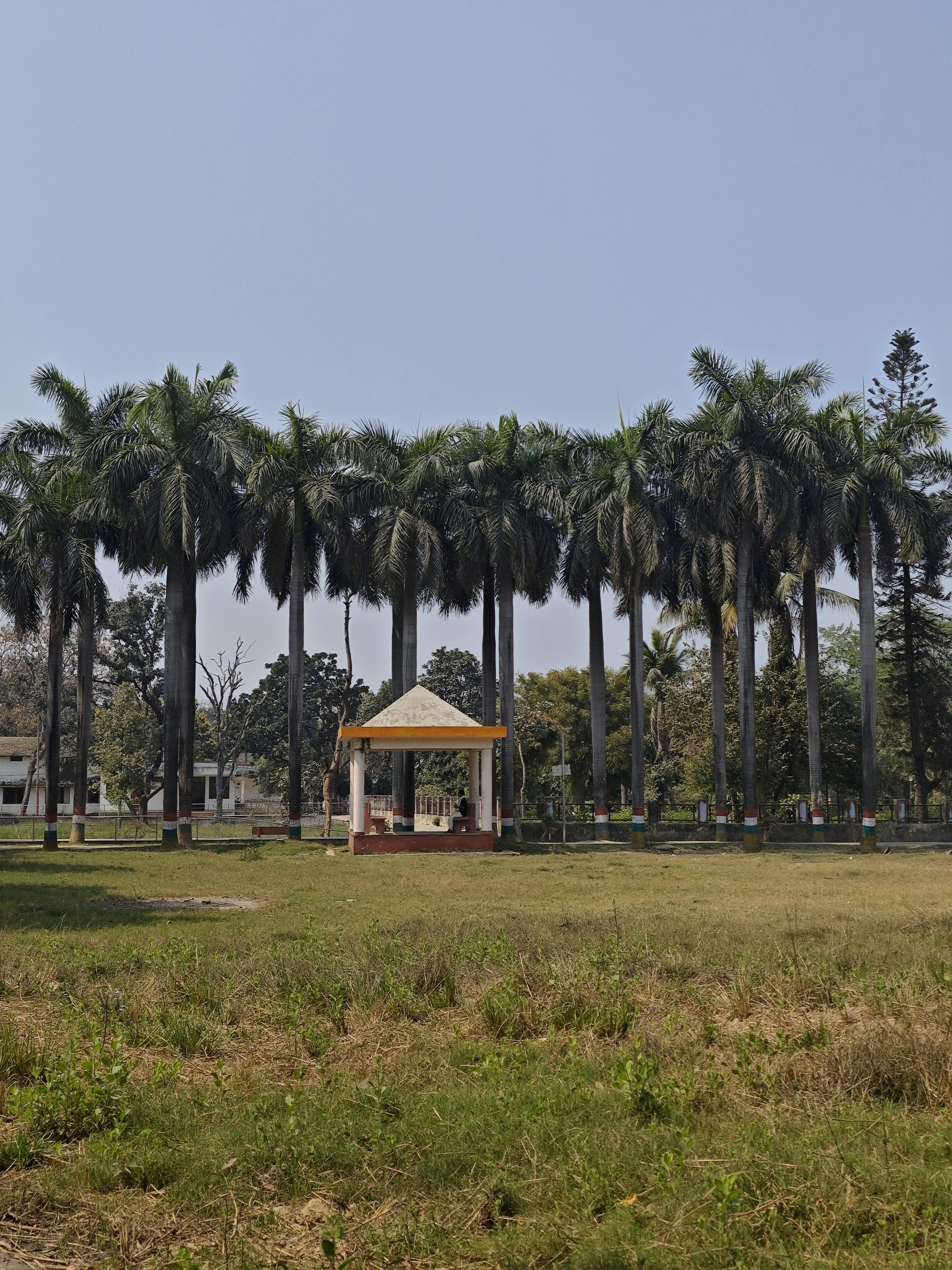 Maghar Photos, Download The BEST Free Maghar Stock Photos & HD Images