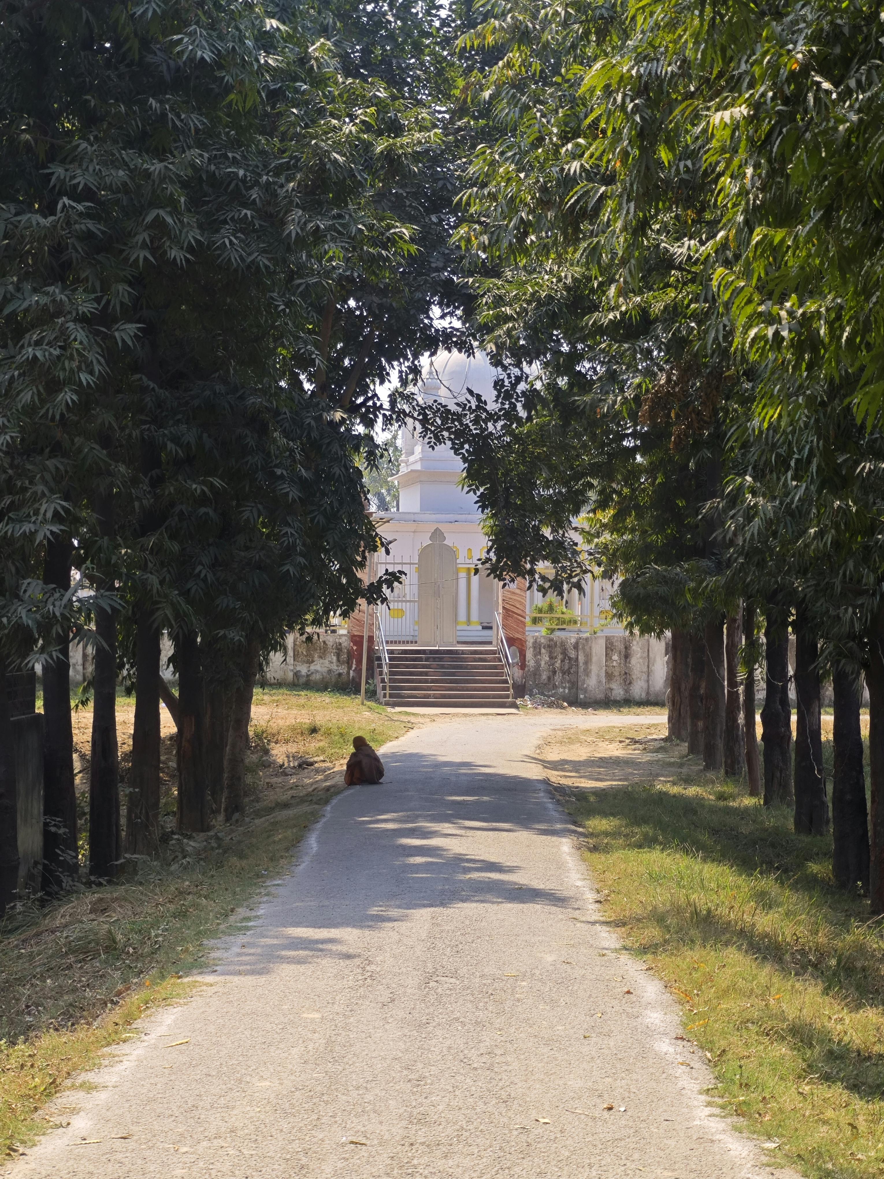 Serene Pathway Leading to Temple in Maghar, India · Free Stock Photo