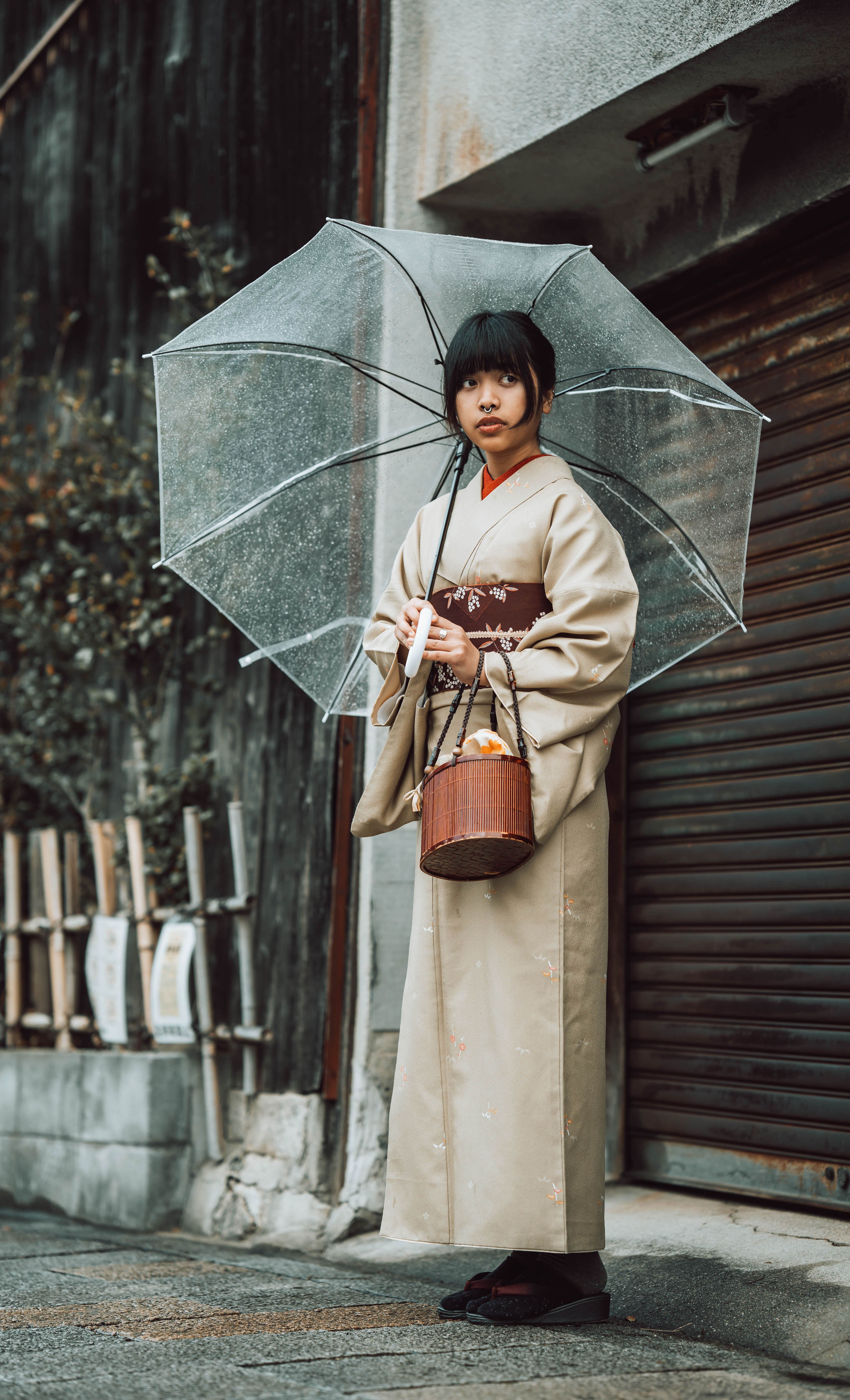 Japanese Toori Photos, Download The BEST Free Japanese Toori Stock ...