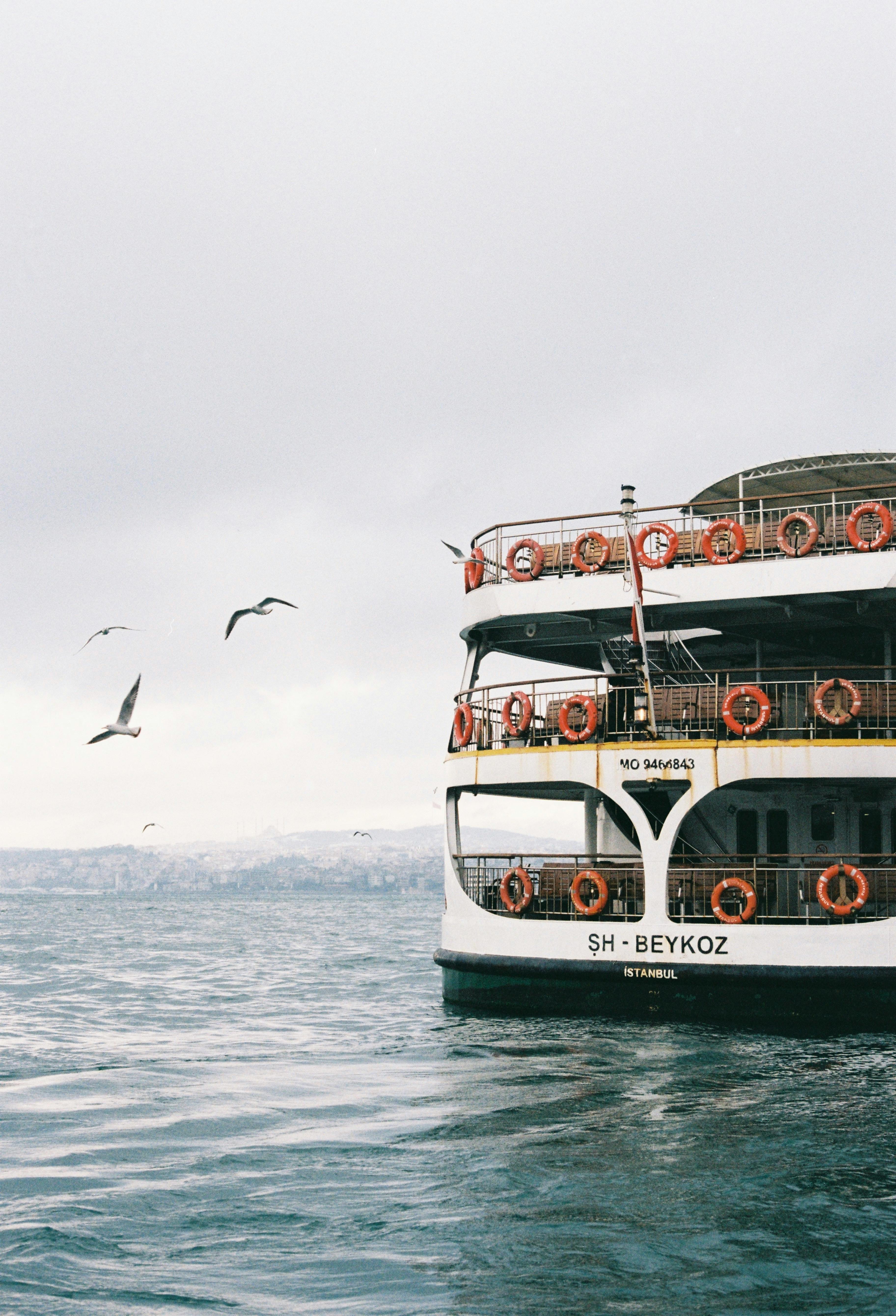 Scenic Bosphorus Ferry with Seagulls in Istanbul · Free Stock Photo