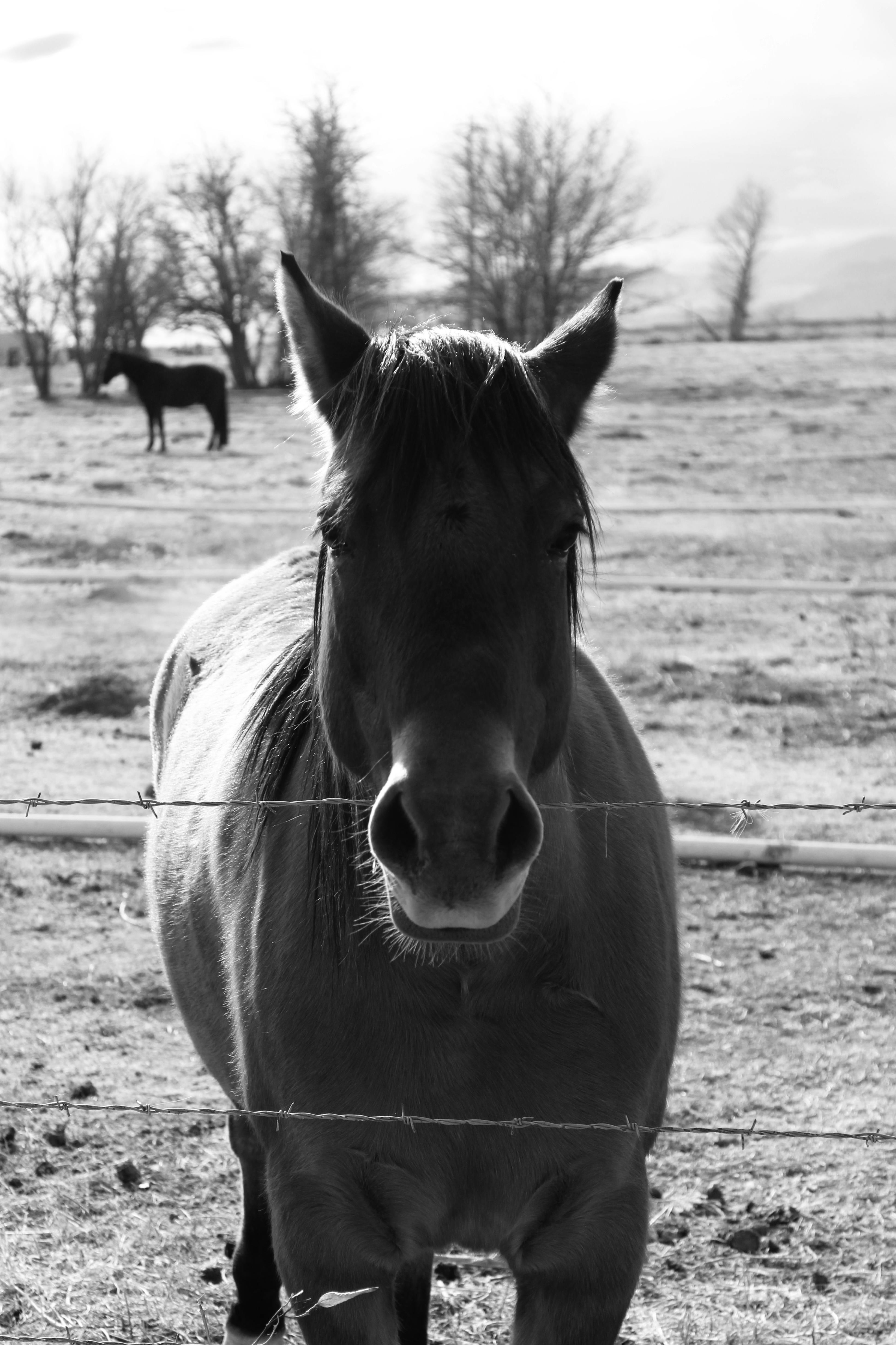 Daniel Lee - Photography