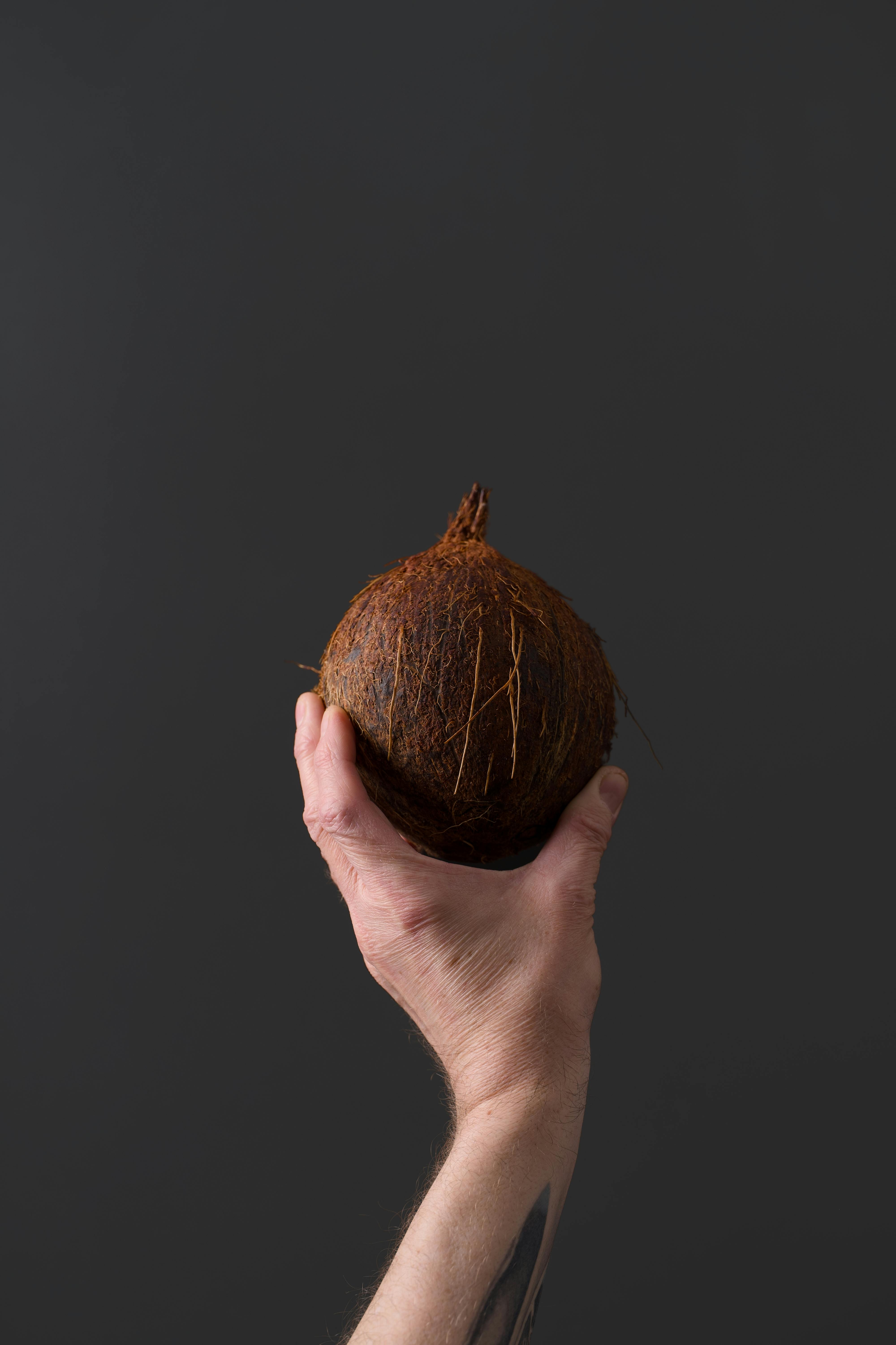 Arm Adder Photos, Download The BEST Free Arm Adder Stock Photos & HD Images