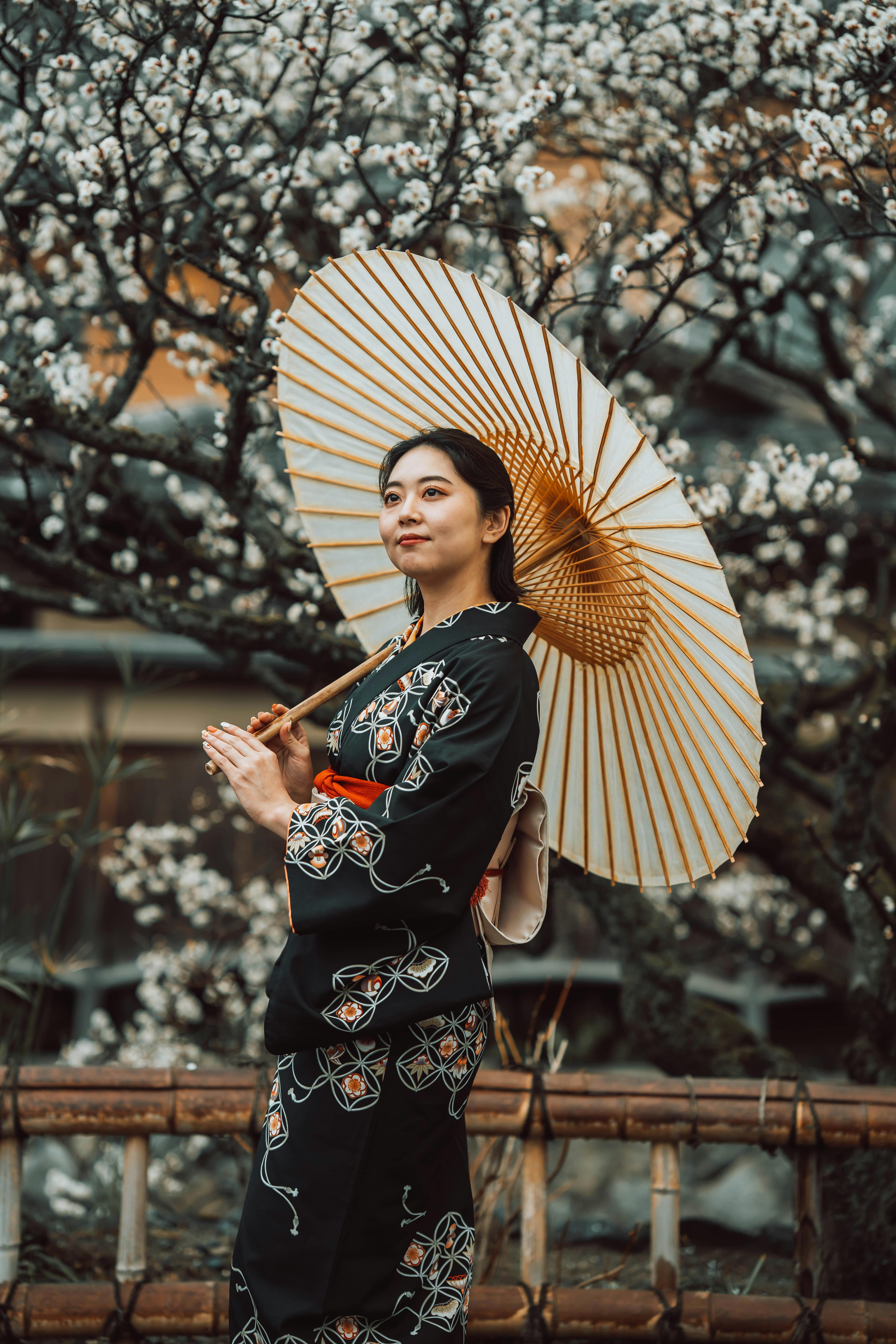 Japanese Woman in Kimono with Parasol Among Blossoms · Free Stock Photo