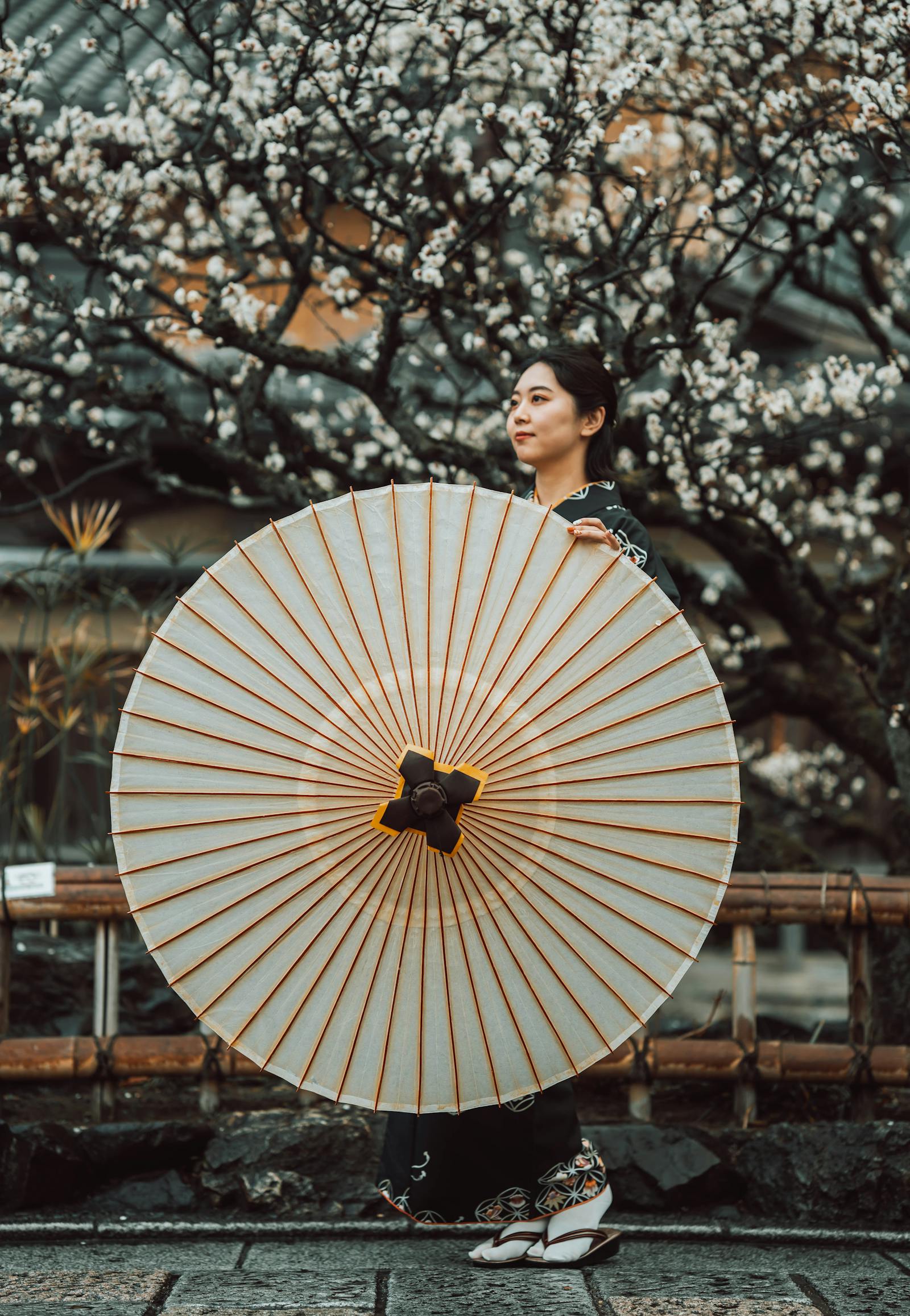 Spring In Japan Photos, Download The BEST Free Spring In Japan Stock ...