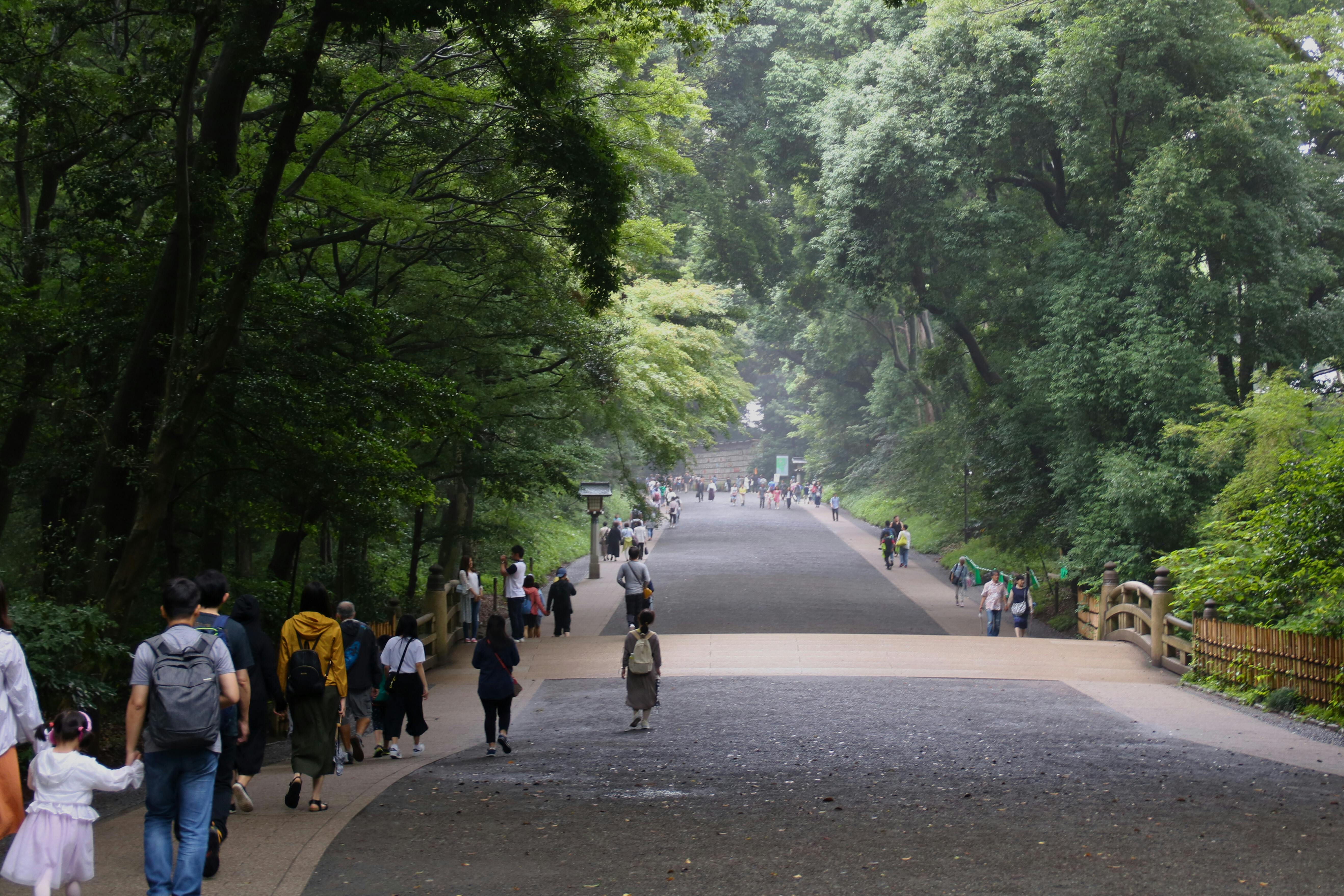 Visitors Strolling Through Meiji Shrine Path in Tokyo · Free Stock Photo