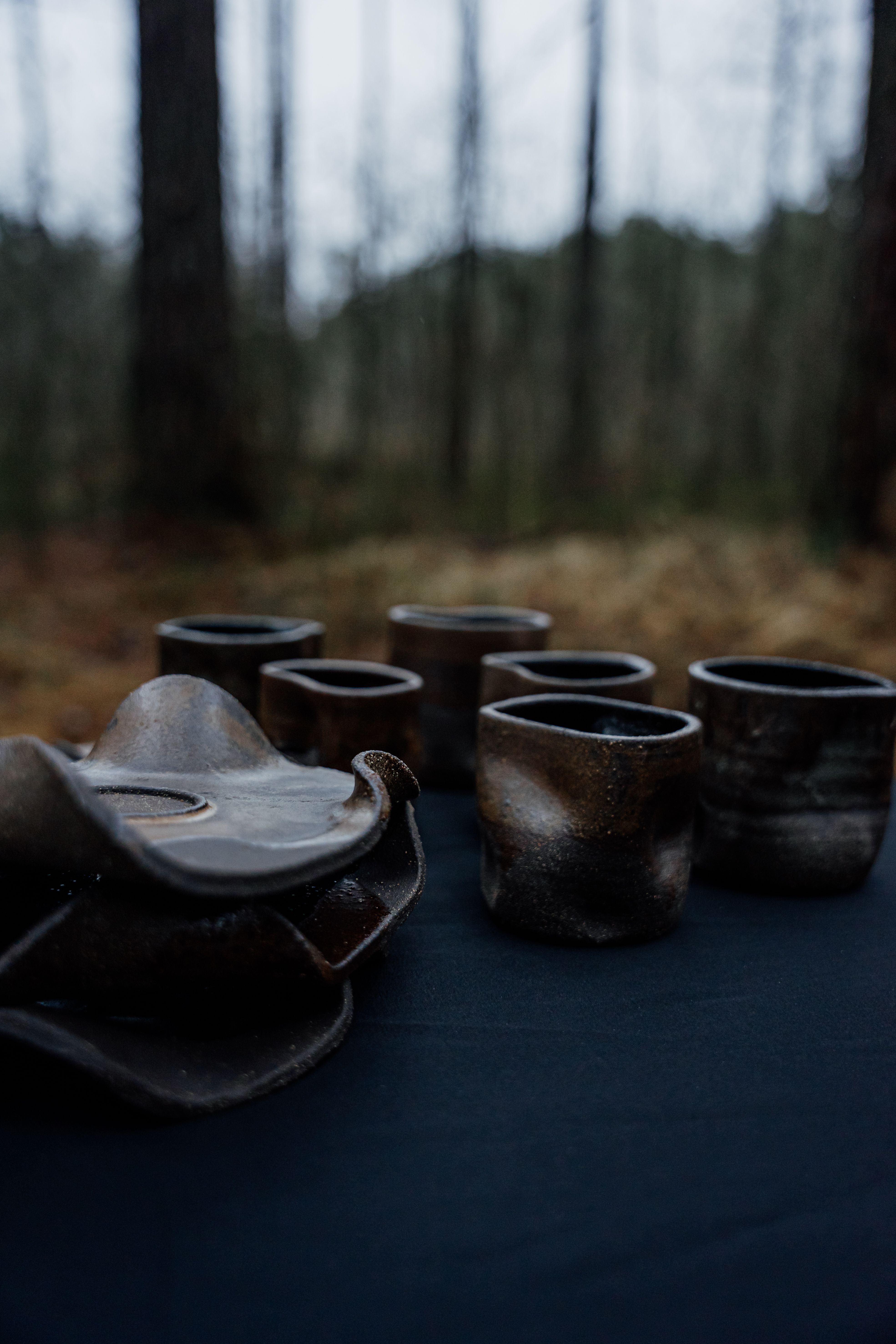 Rustic Handmade Pottery Set in Forest Clearing · Free Stock Photo