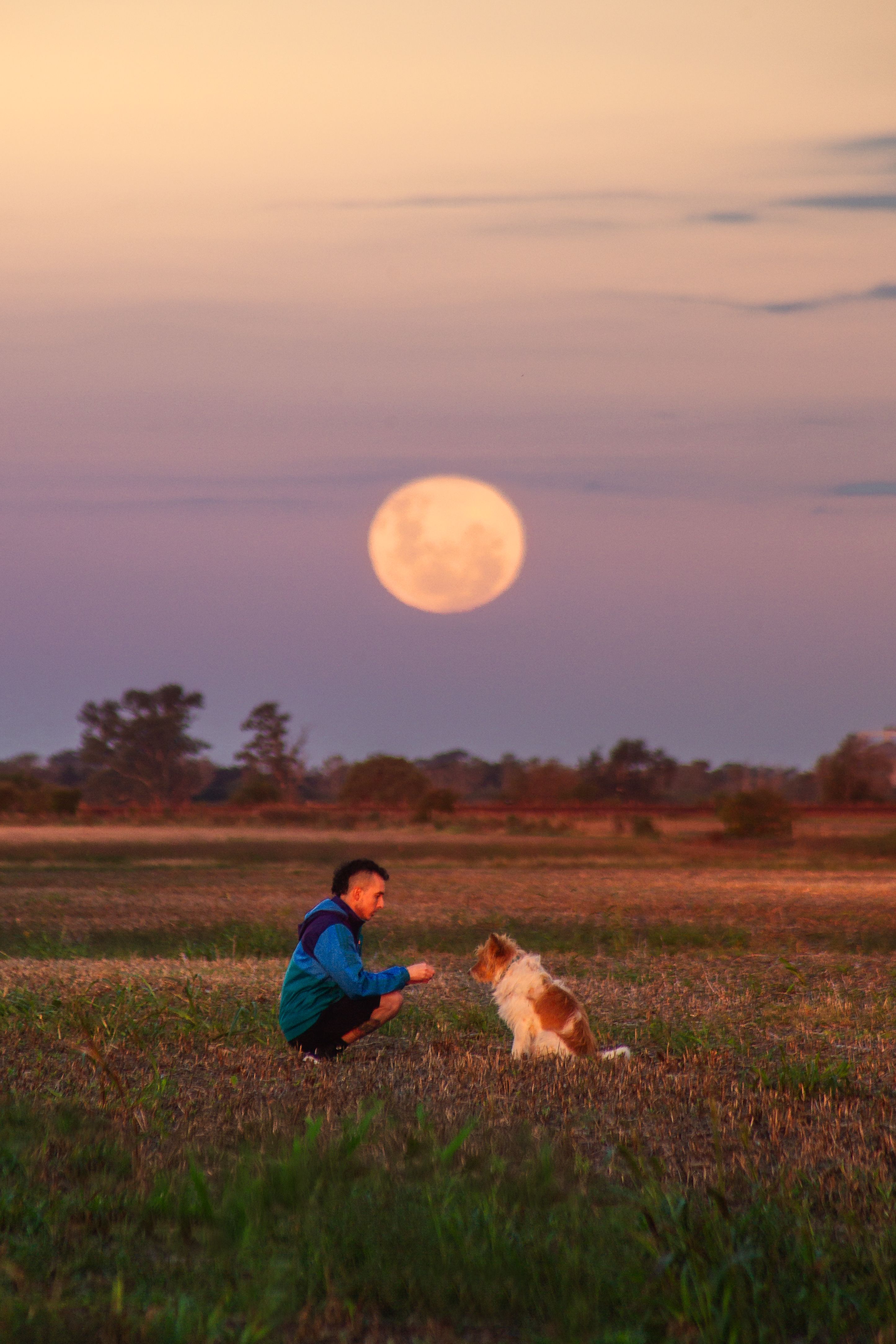 Man and Dog at Sunset Under Full Moon · Free Stock Photo