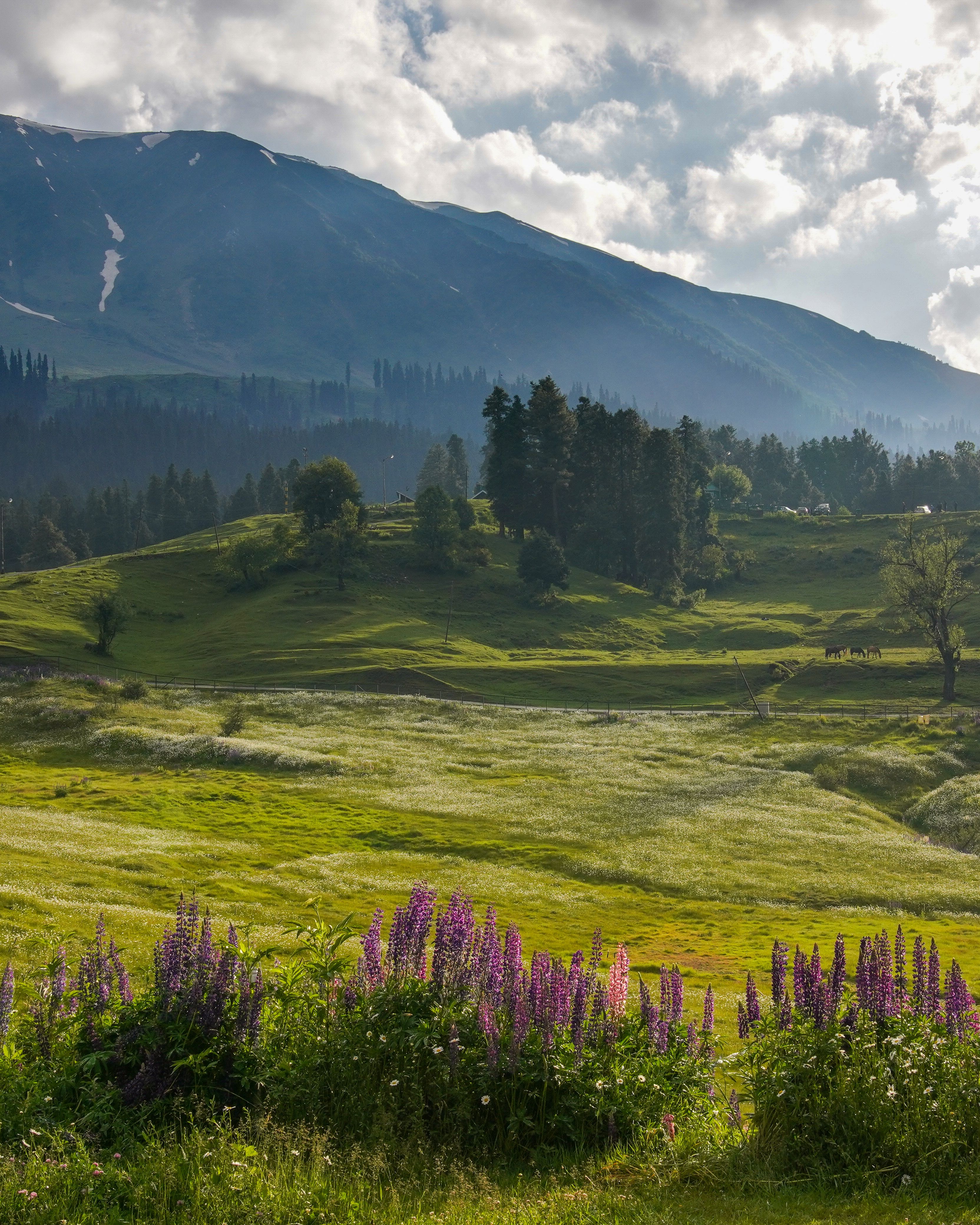 Gulmarg Kashmir Wallpaper Photos, Download The BEST Free Gulmarg ...
