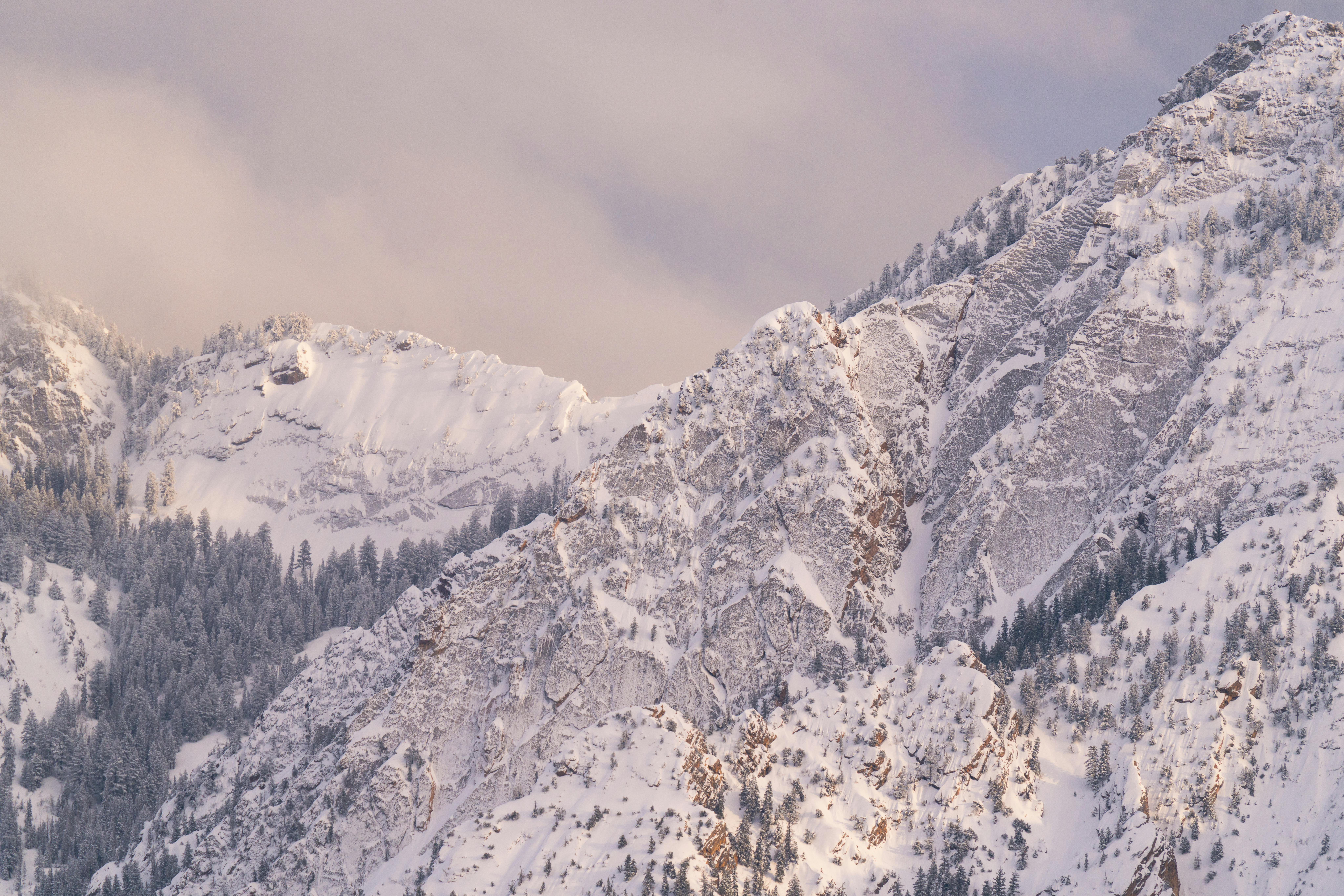 Frozen Breath, Nostrils Photos, Download The BEST Free Frozen Breath ...