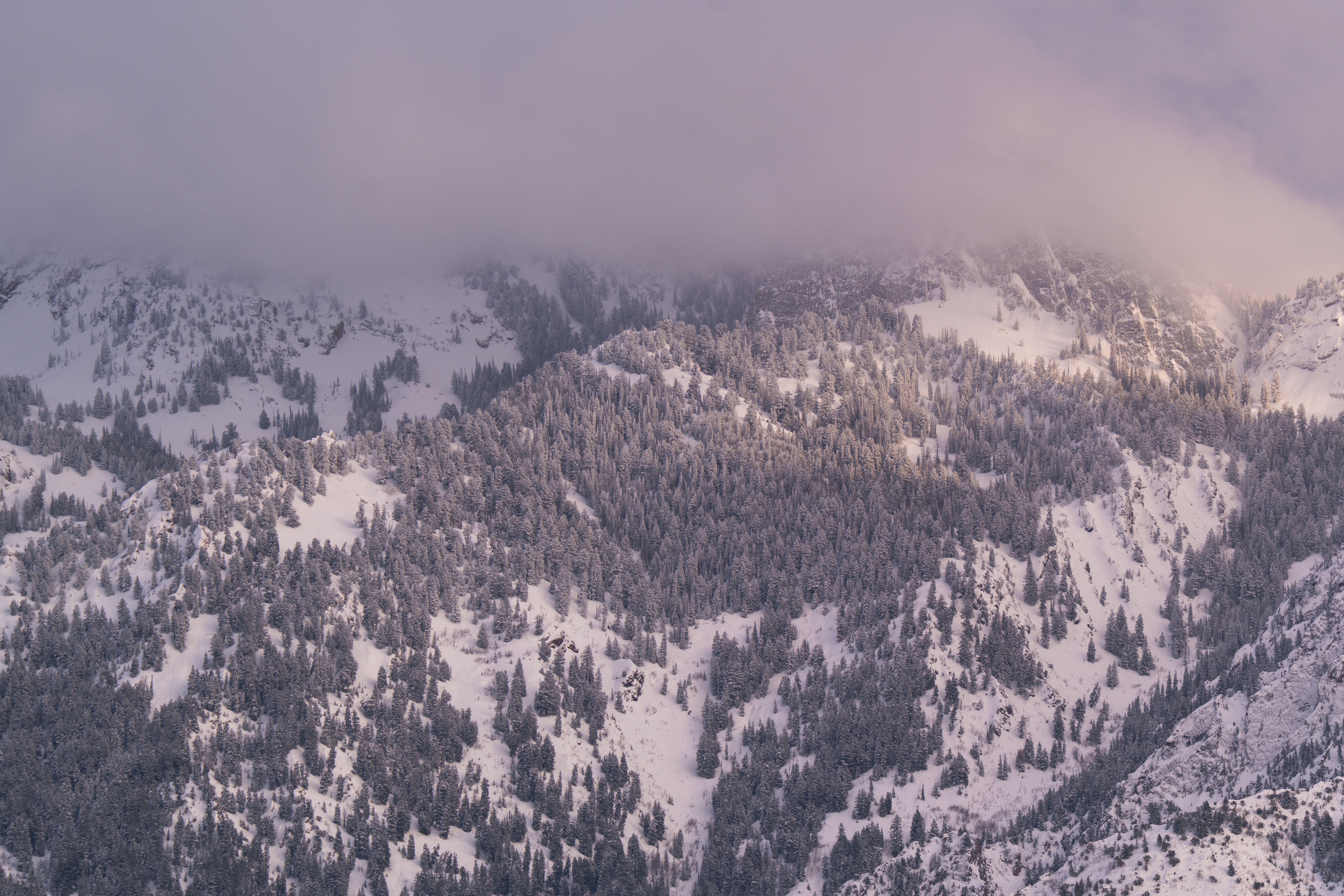 Snowy Wasatch Mountains at Sunset · Free Stock Photo