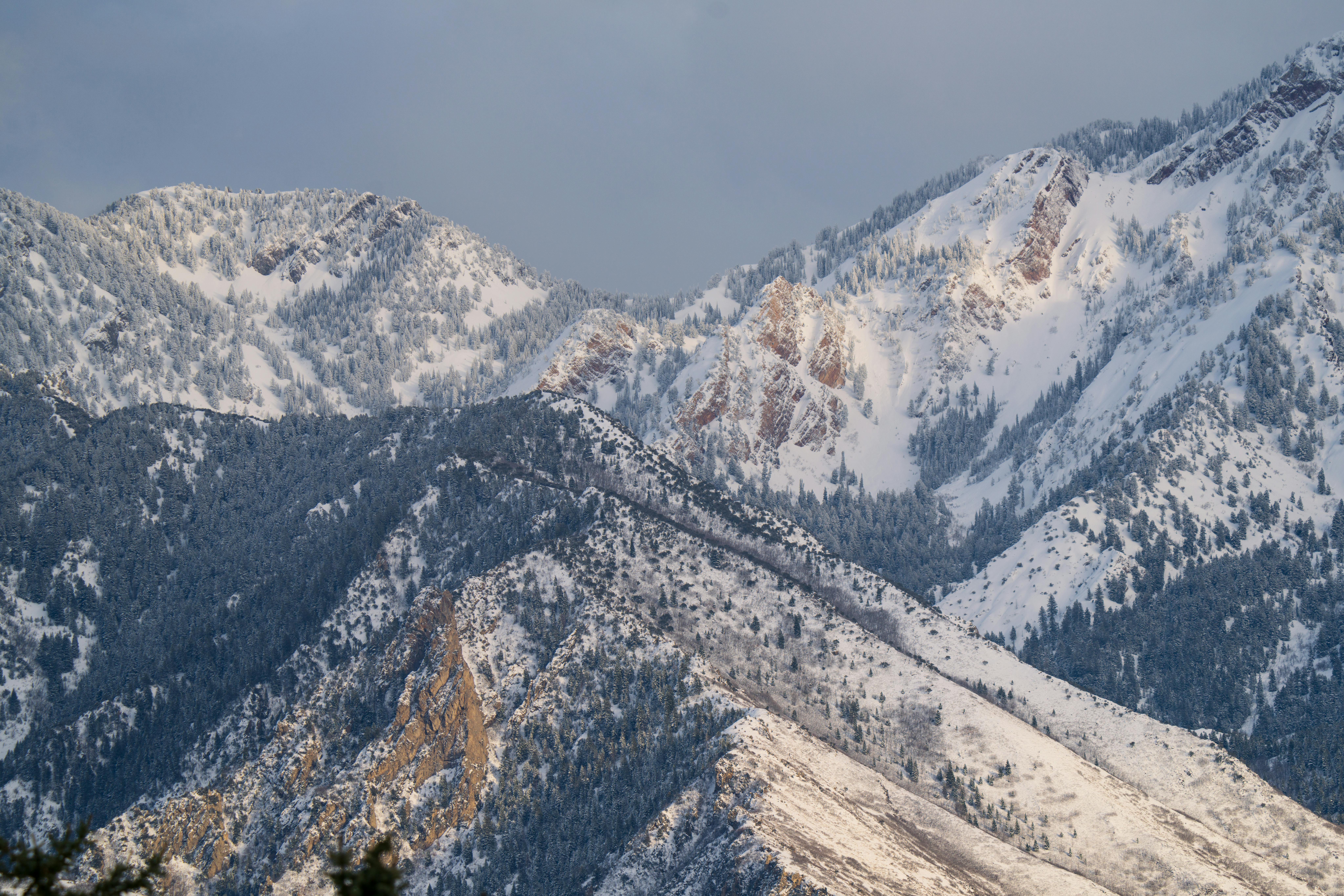 Green Trees Near Mountain Under White Clouds during Noontime · Free ...