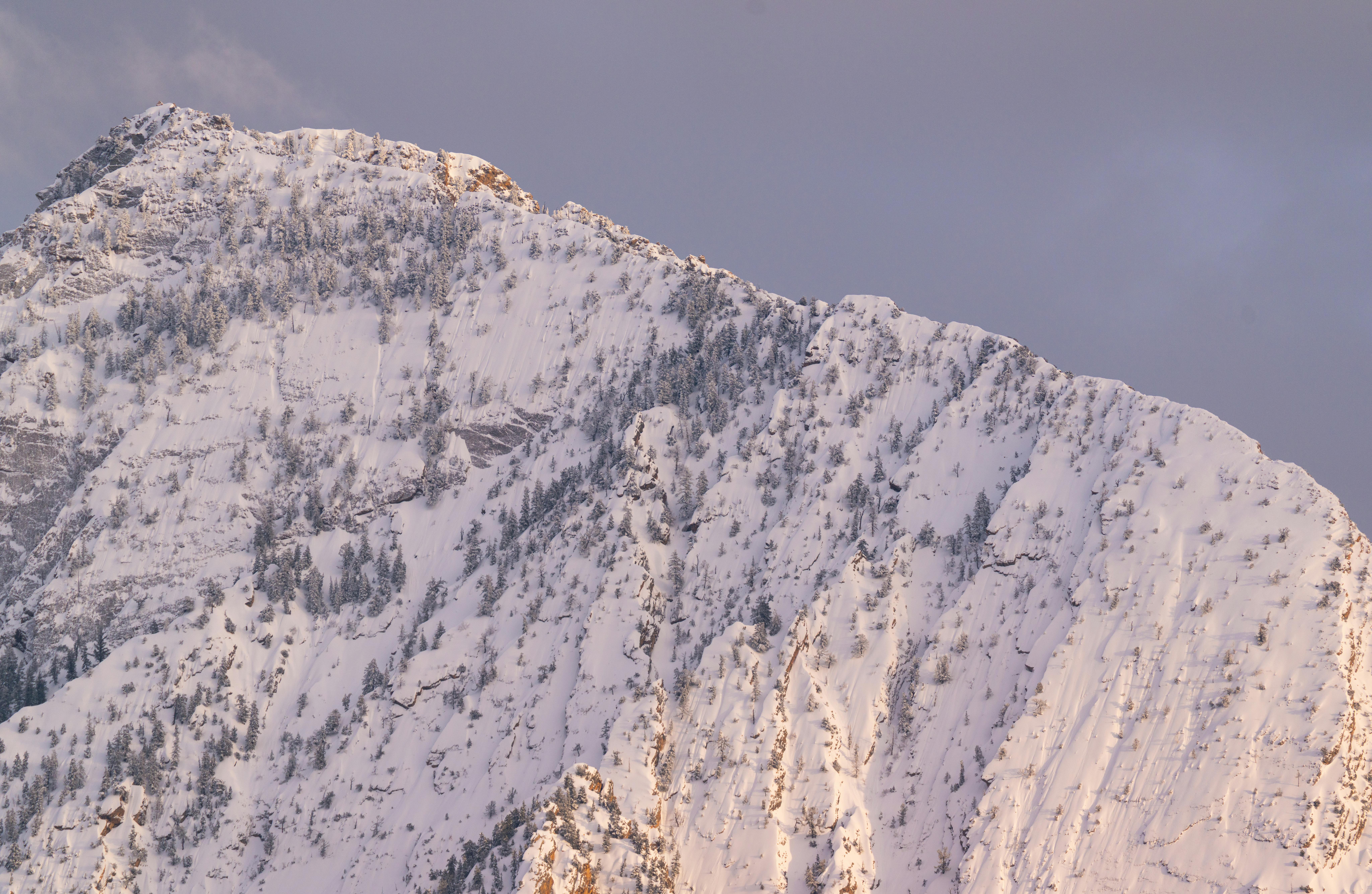 Snow-Capped Wasatch Mountains in Spring · Free Stock Photo