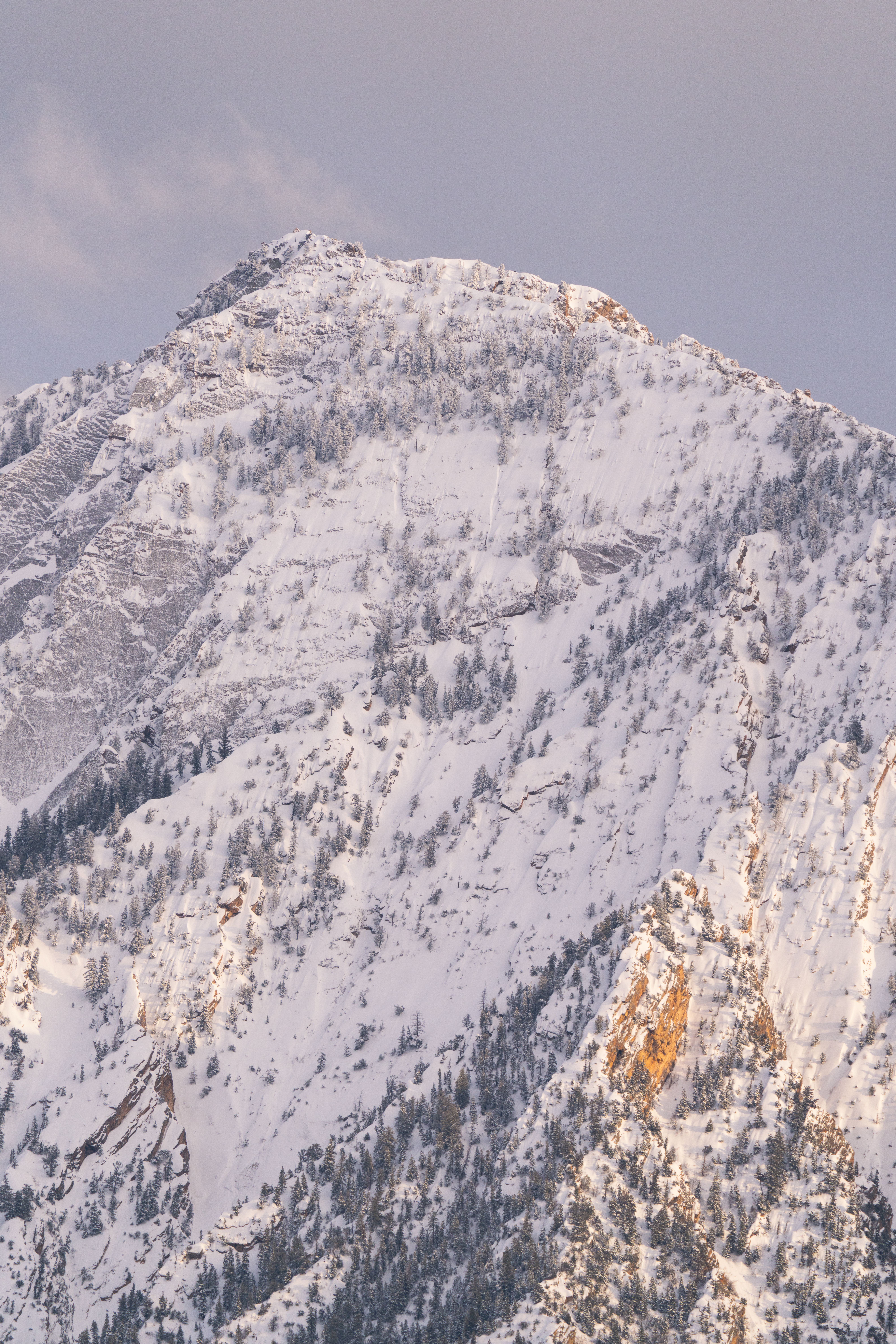 Snow-Covered Wasatch Mountains in Utah · Free Stock Photo