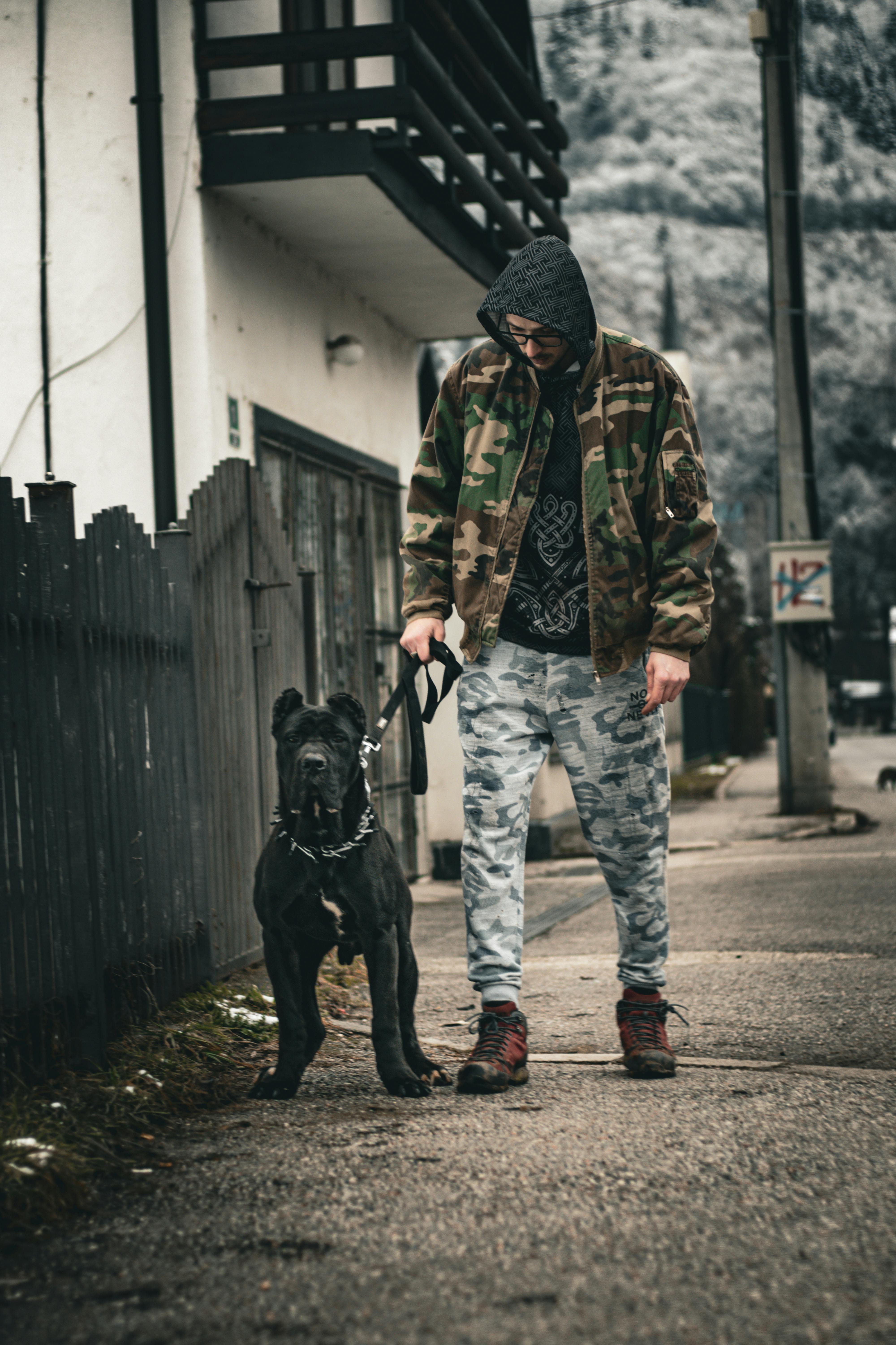 Urban Street Scene with Man and Black Dog · Free Stock Photo