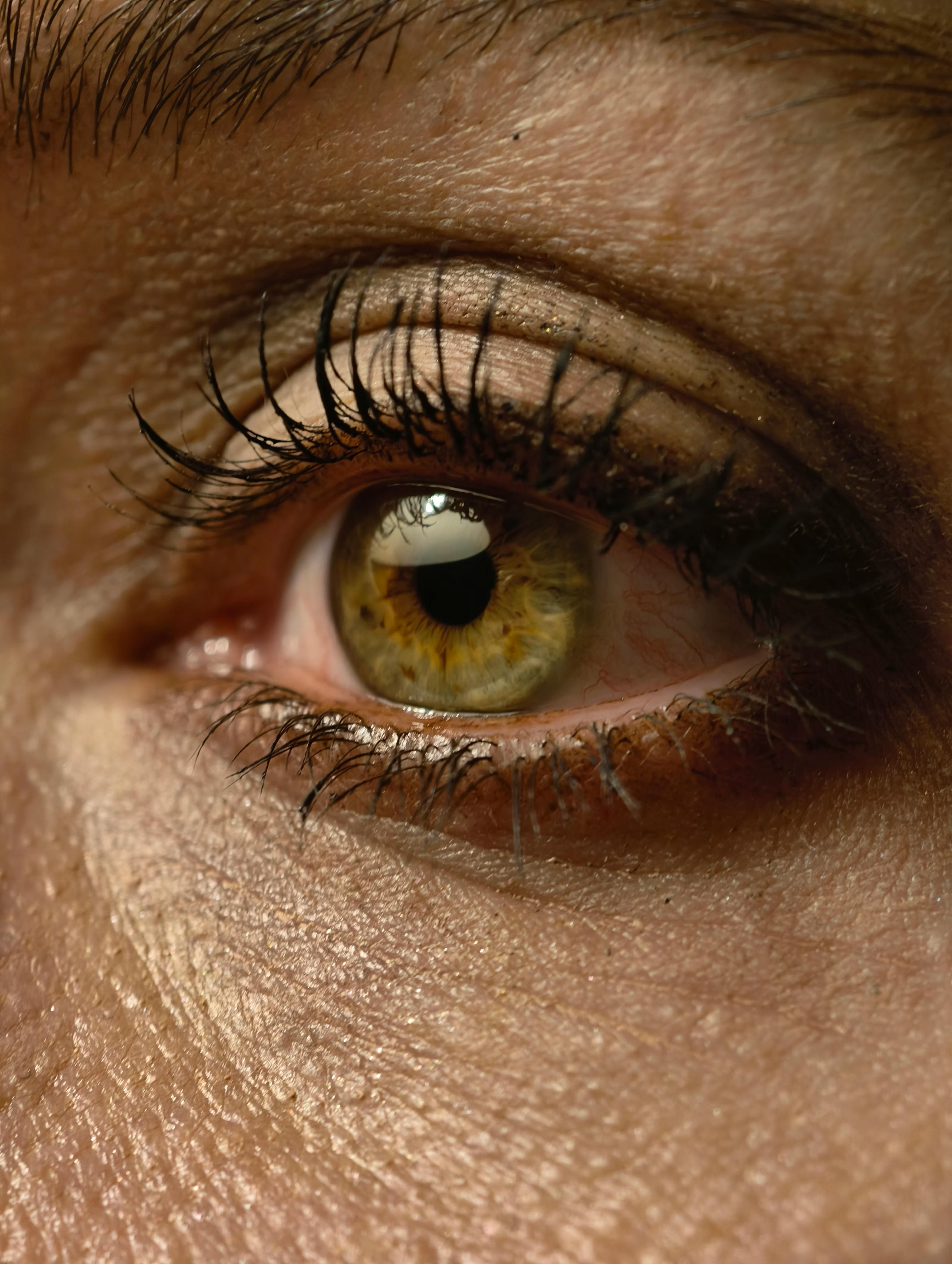 Human Face Photos, Download The BEST Free Human Face Stock Photos & HD ...