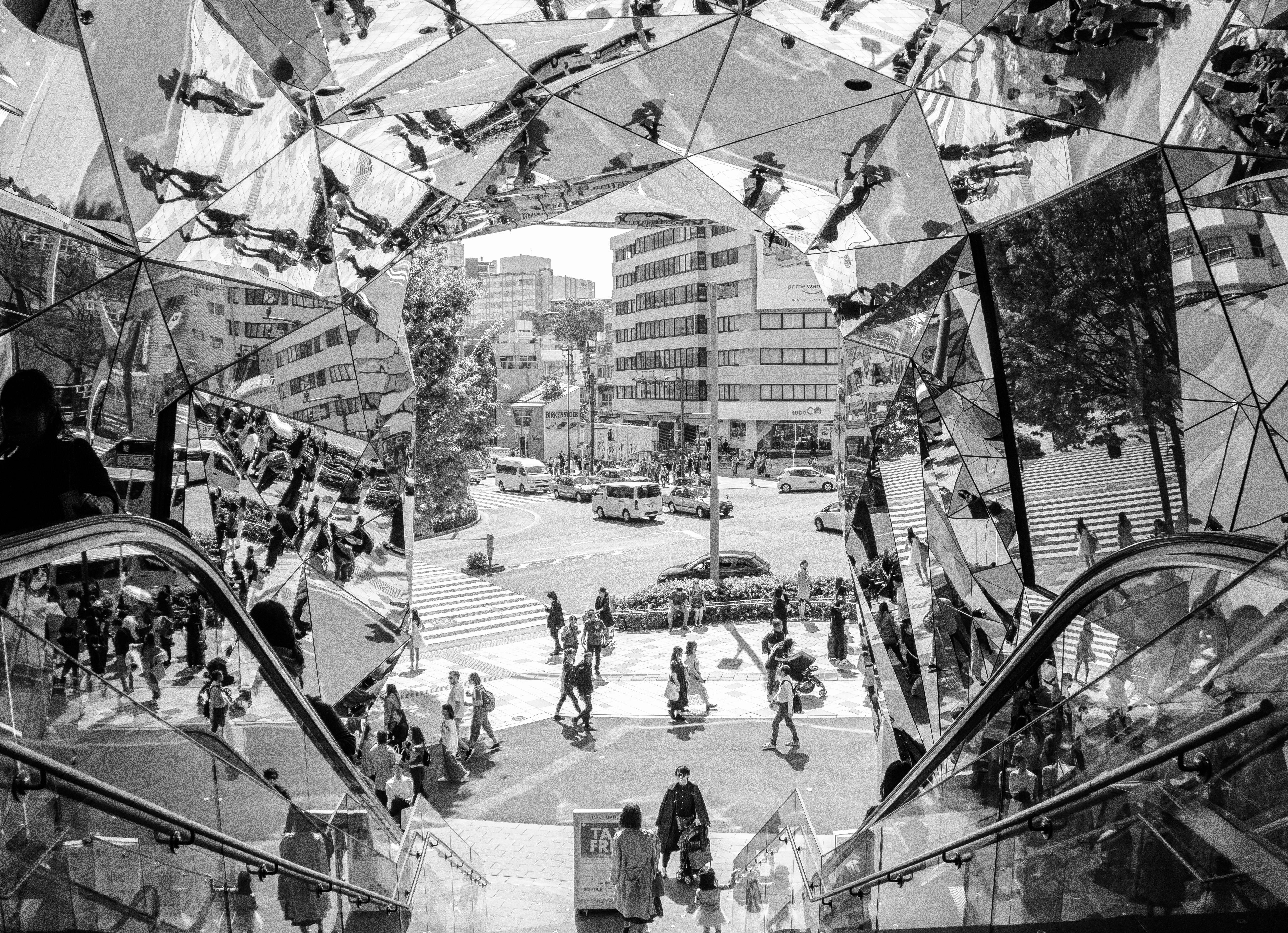 Global Human Population Photos, Download The BEST Free Global Human ...