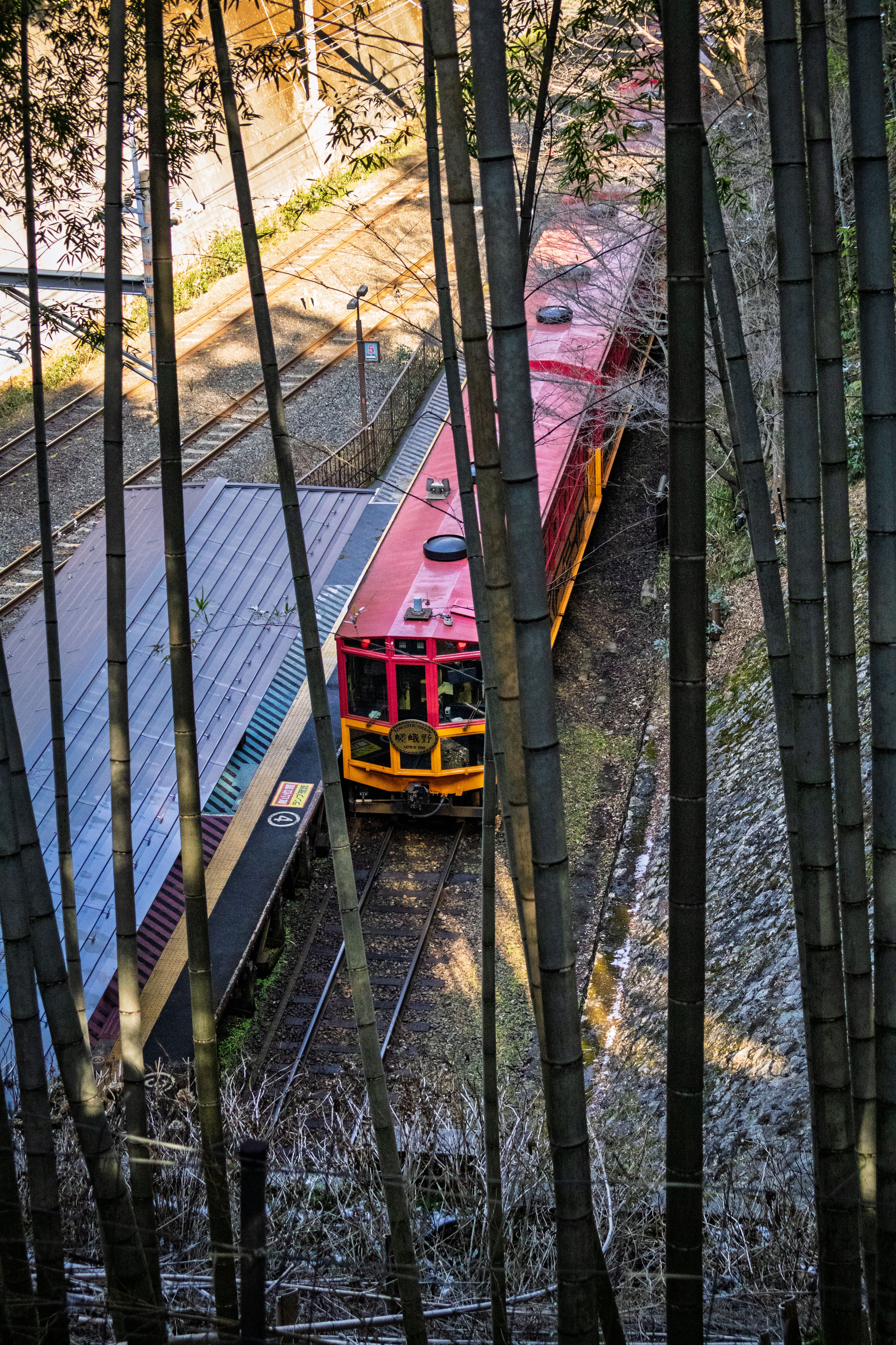 Scenic View of Sagano Romantic Train in Kyoto Bamboo Grove · Free Stock ...